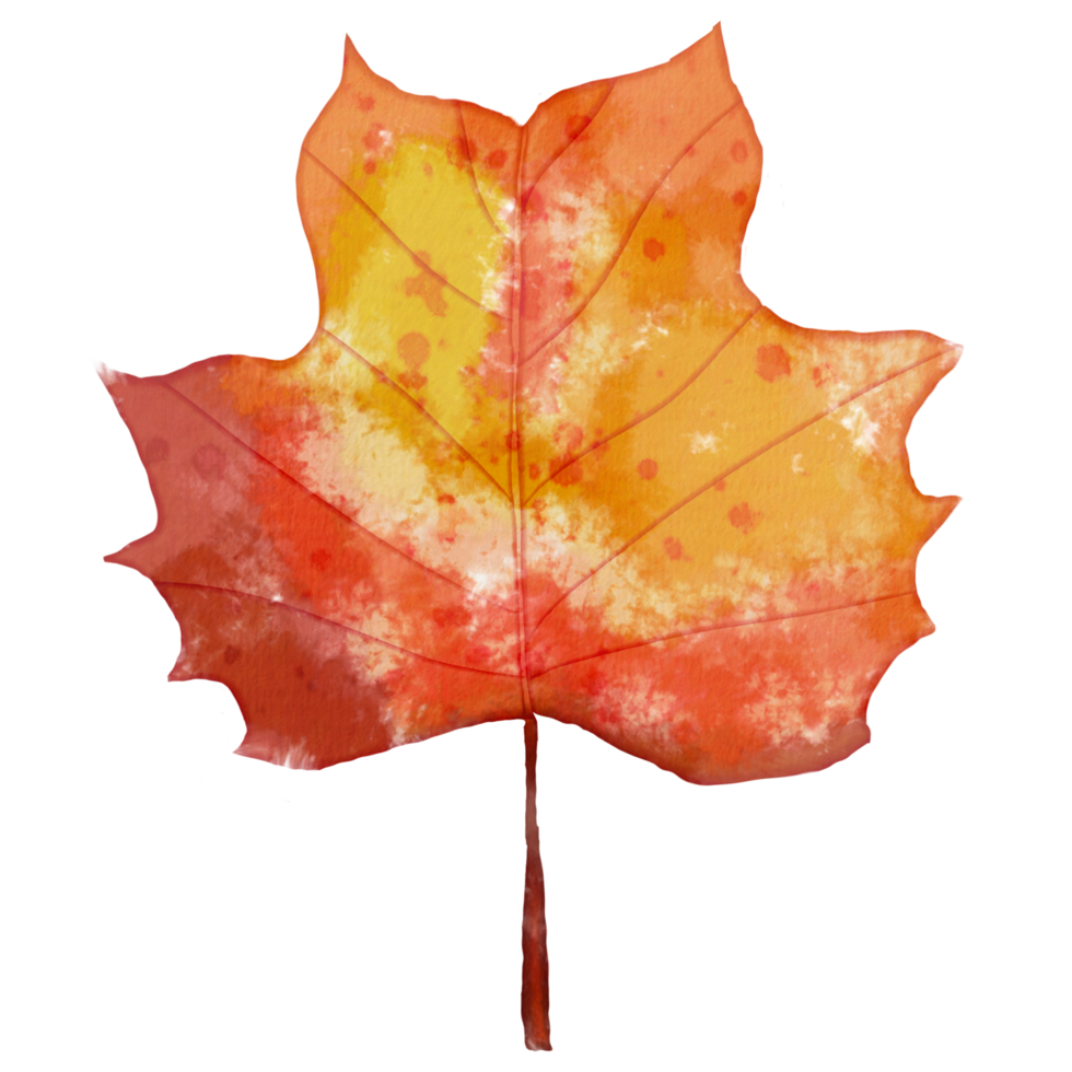Watercolor Autumn Leaf 12959357 PNG