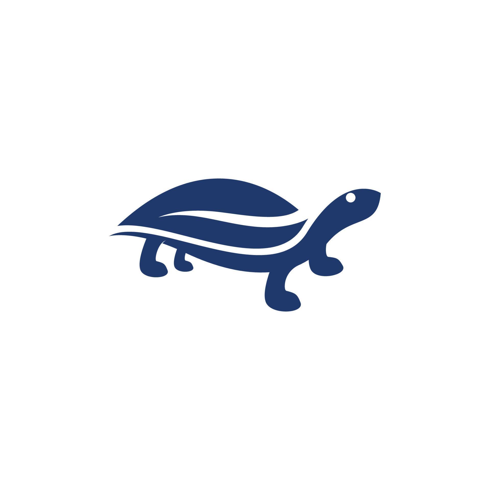 Turtle animal cartoon icon 12982343 Vector Art at Vecteezy
