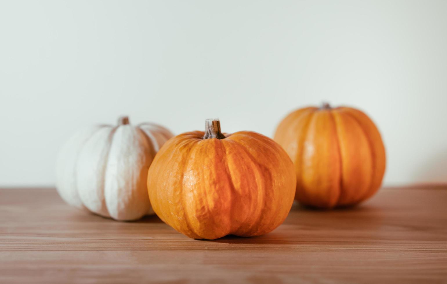 Pumpkin Stock Photos, Images and Backgrounds for Free Download