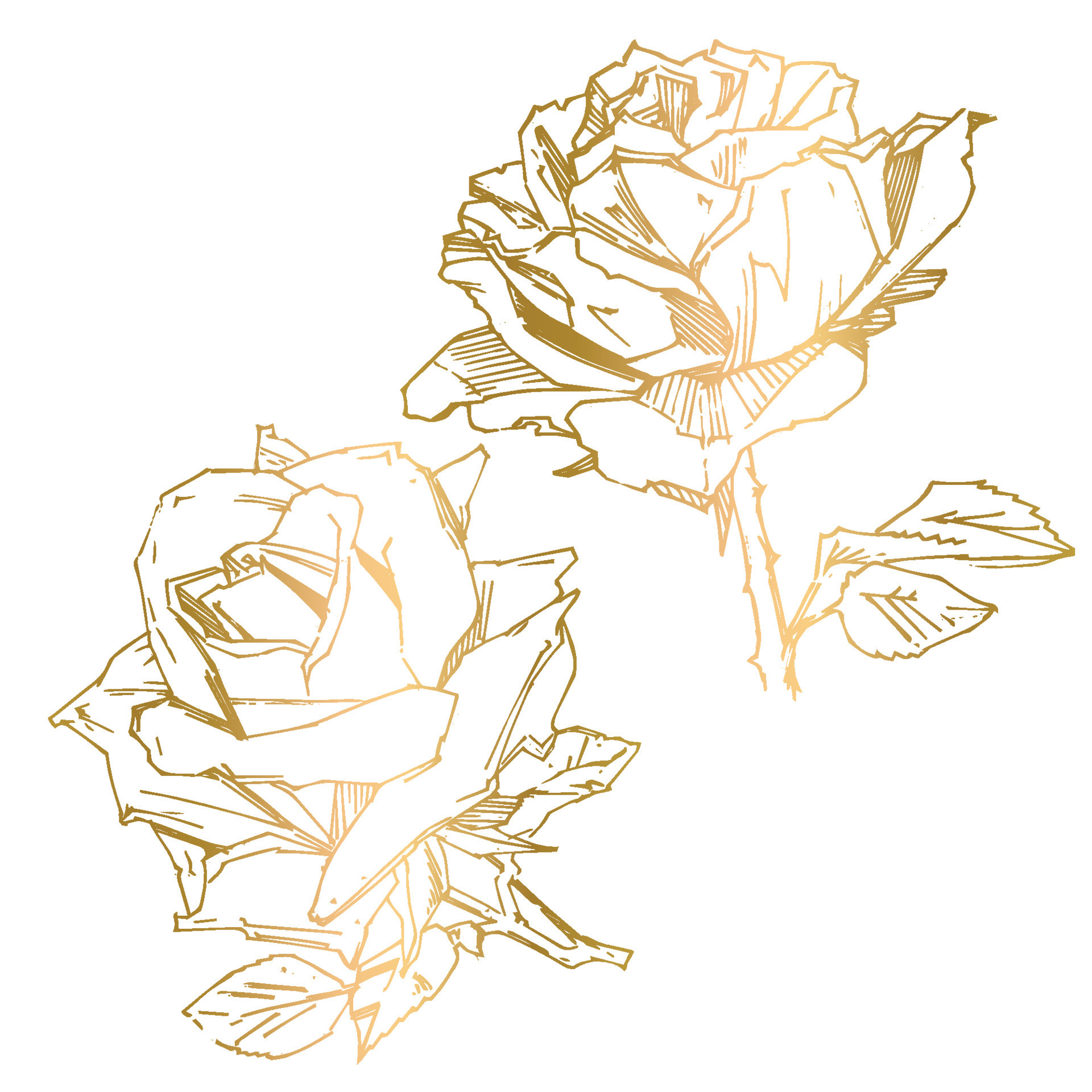 PrintHand drawn rose. Vector illustration. Vintage tattoo style rose ...