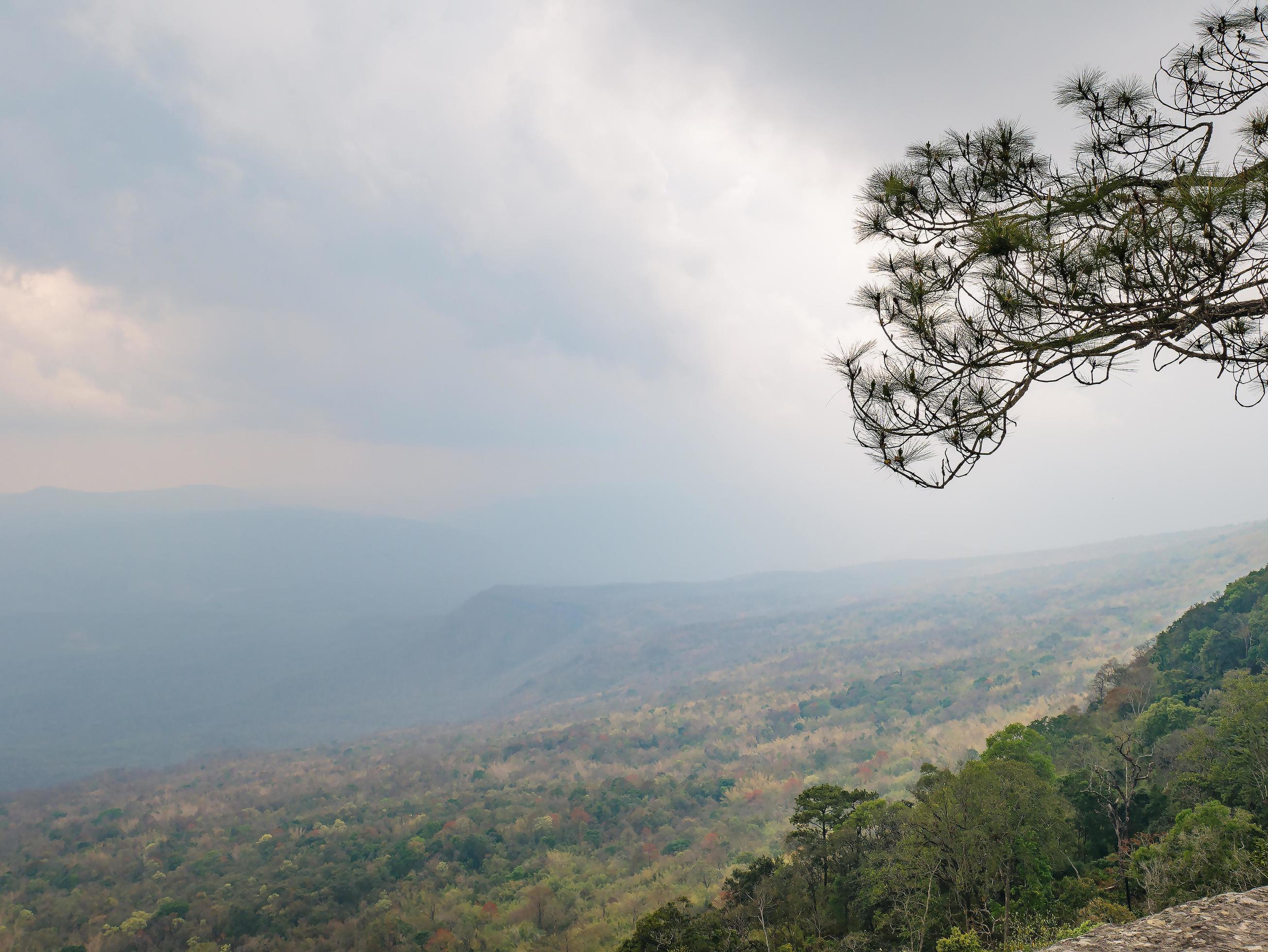Beautiful scenery view from Phu Kradueng mountain national park in Loei City Thailand.Phu ...