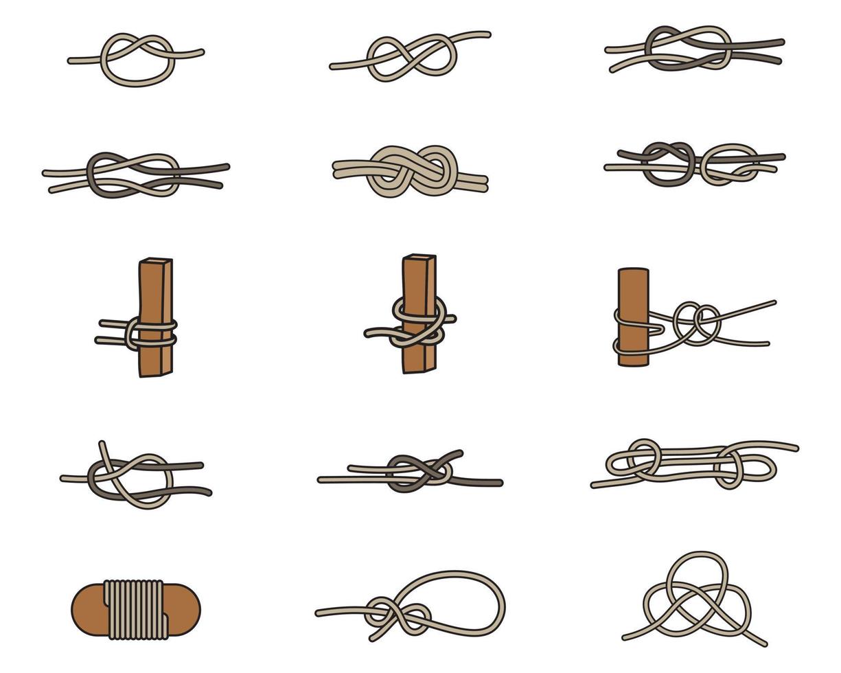 Collection Of Knots Vector Illustration 13073851 Vector Art At Vecteezy