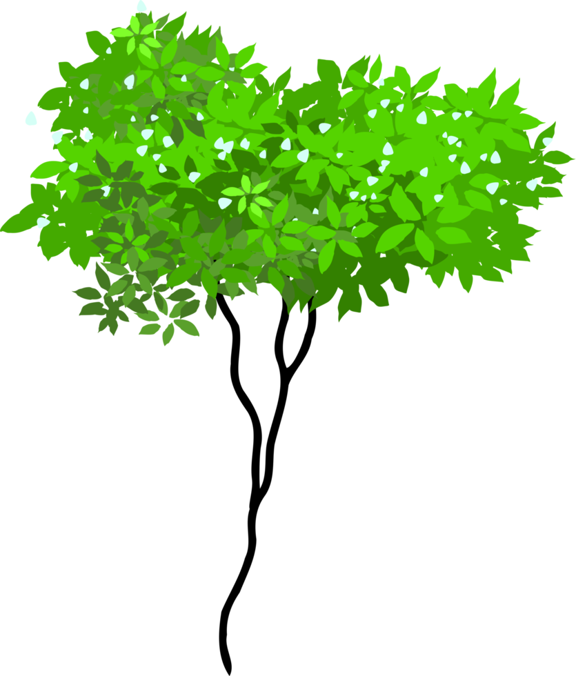 Tree Illustration Png 13091726 Png