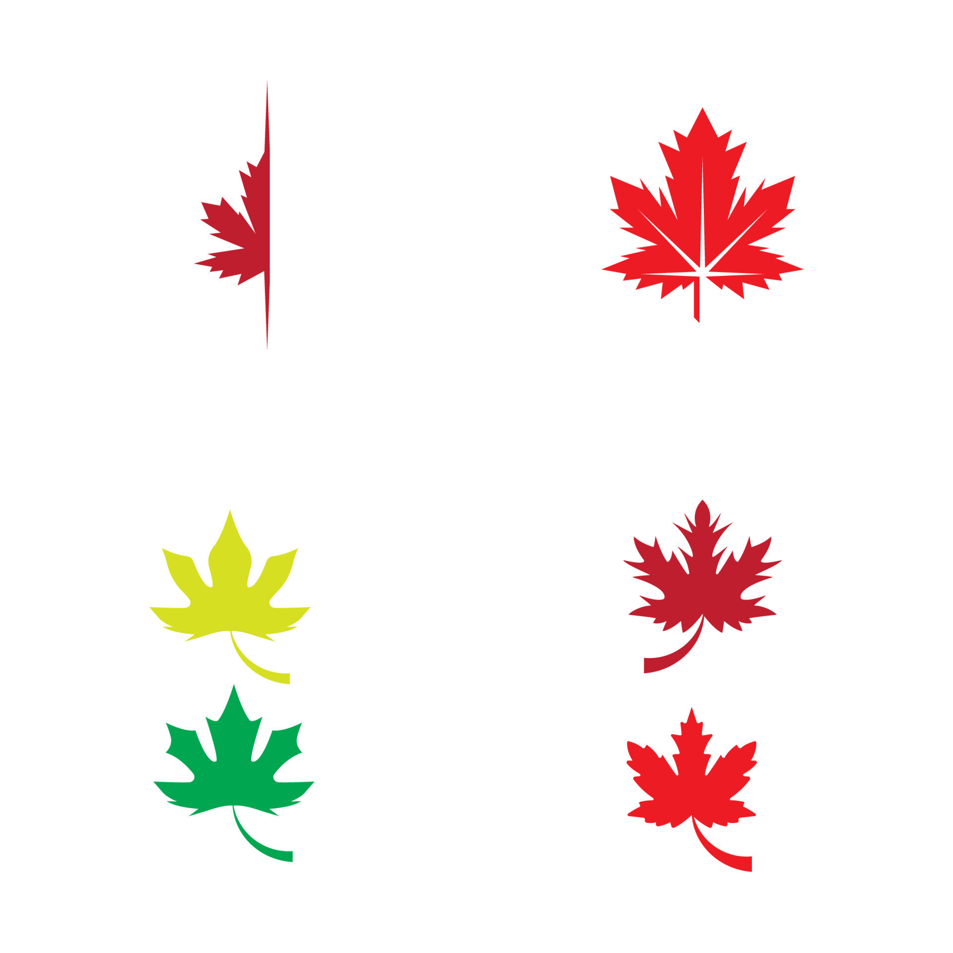 Maple leaf vector illustration 13098338 Vector Art at Vecteezy