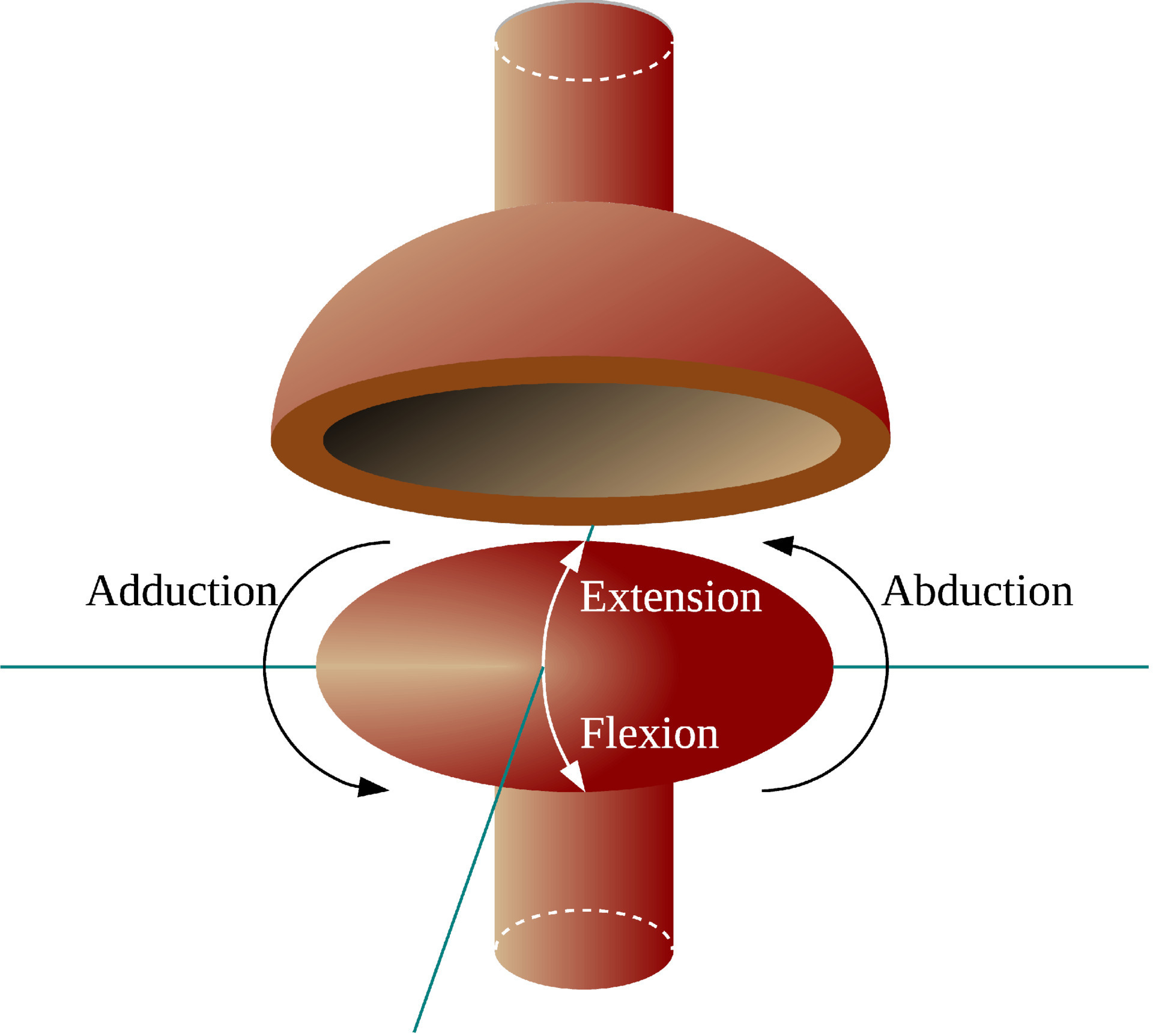 Ellipsoid Joint Ellipsoid Joint