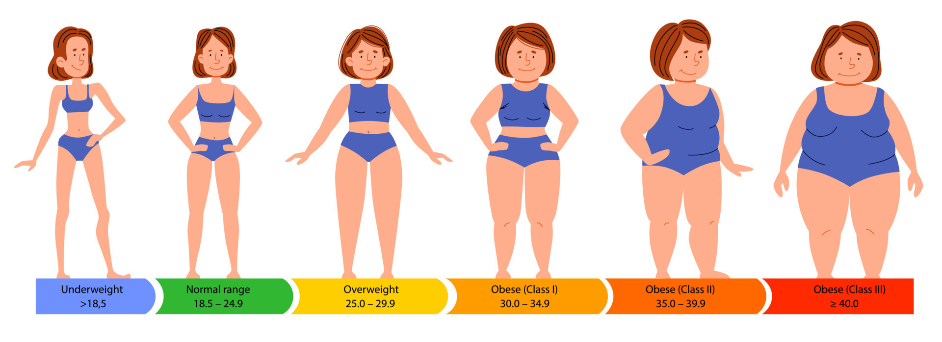 Categories With Body Mass Index Female Silhouettes With A Thick Normal And Slender Figure