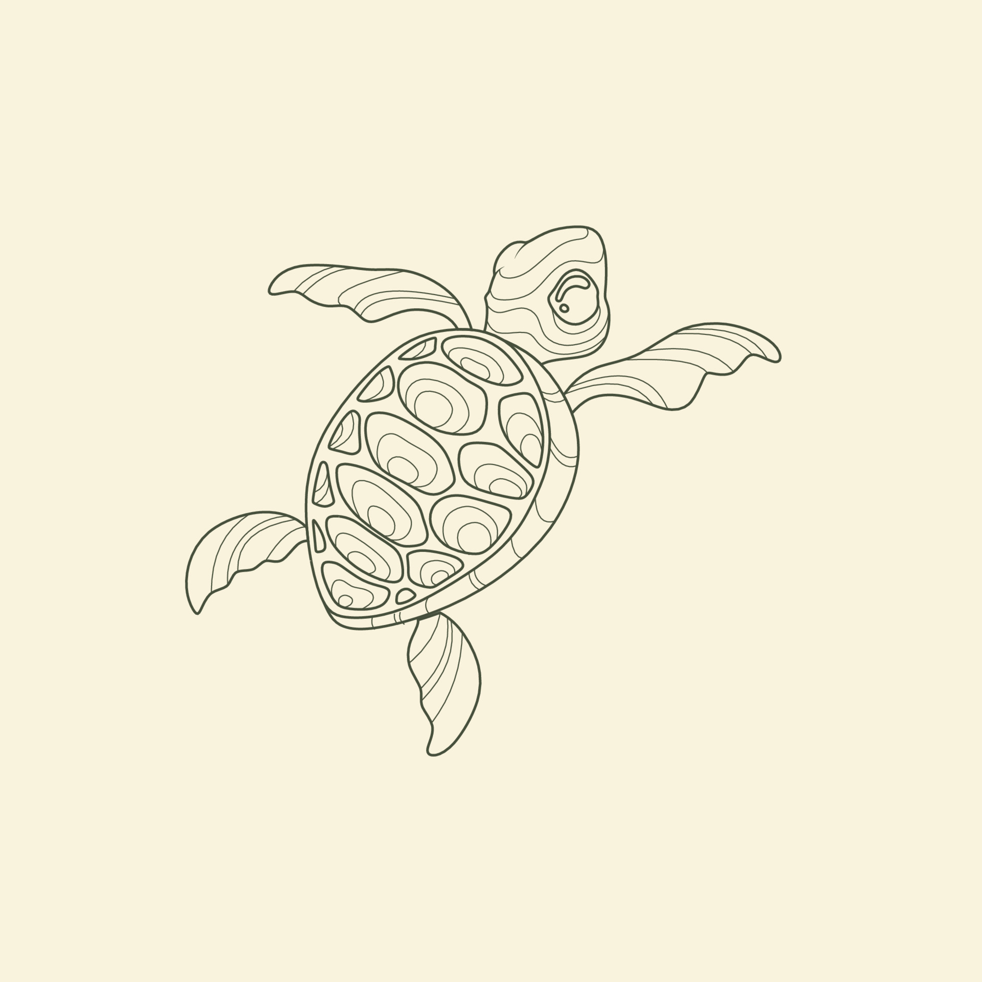 Turtle Line art Vector. Turtle Line art Graphic design for coloring ...