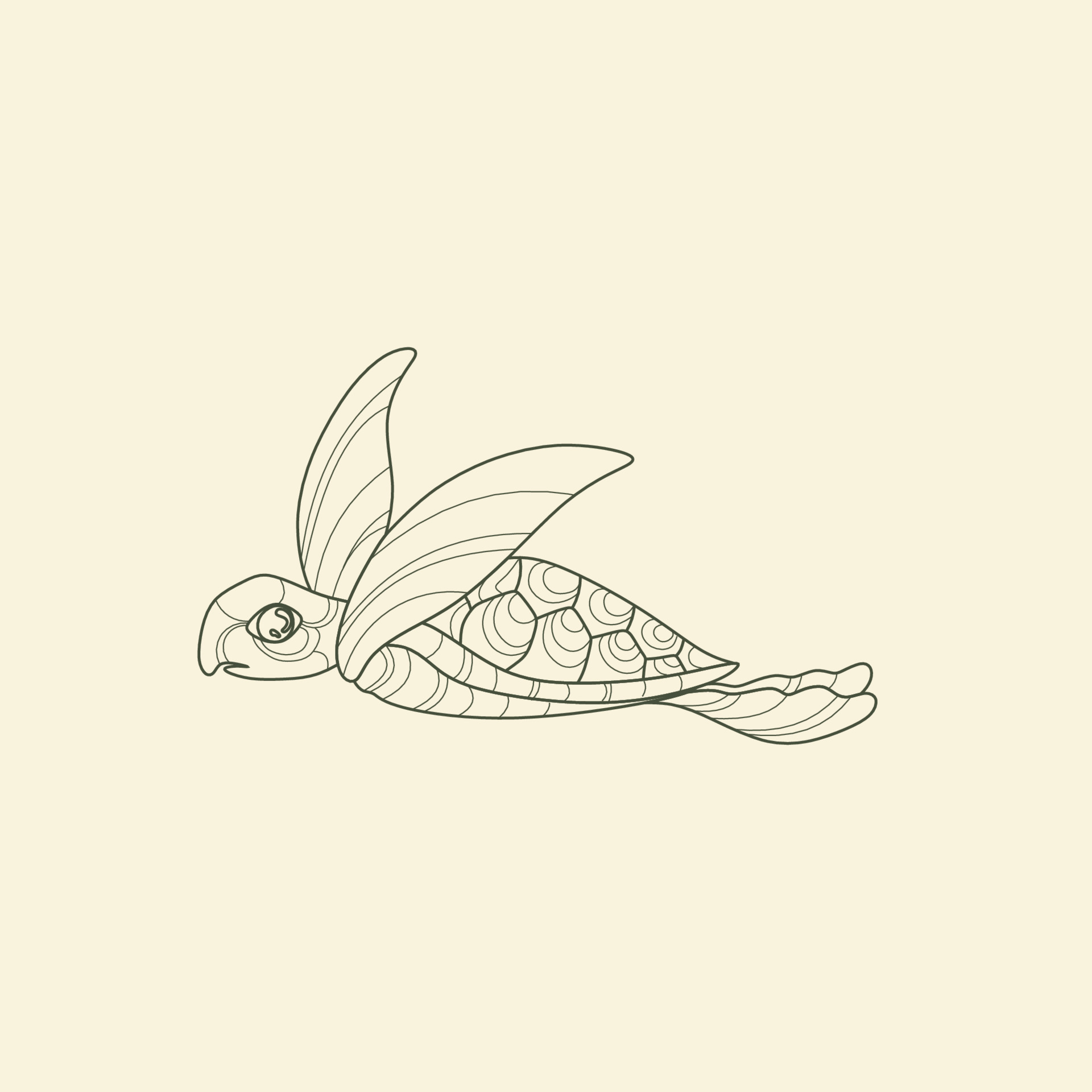 Turtle Line art Vector. Turtle Line art Graphic design for coloring ...