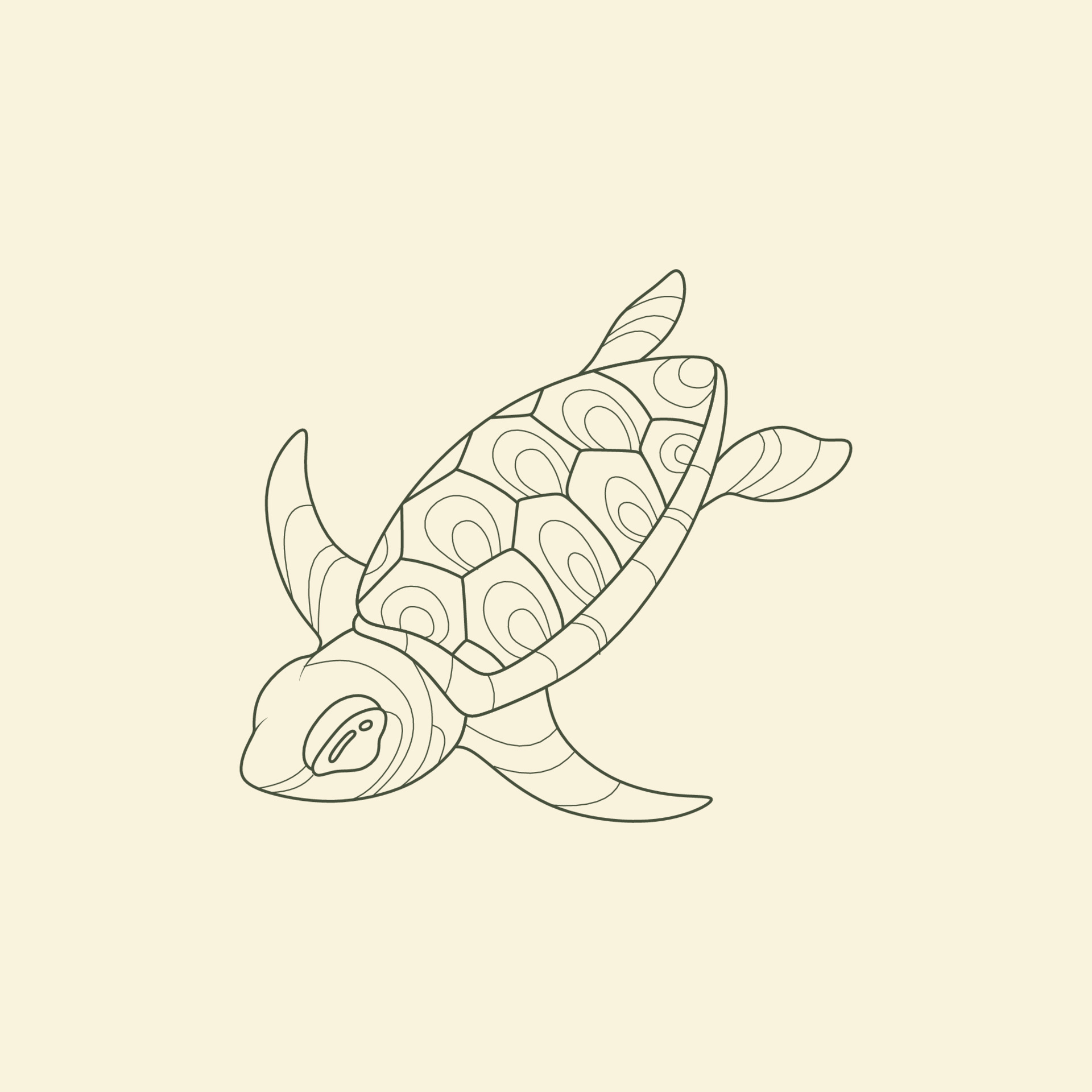 Turtle Line art Vector. Turtle Line art Graphic design for coloring ...