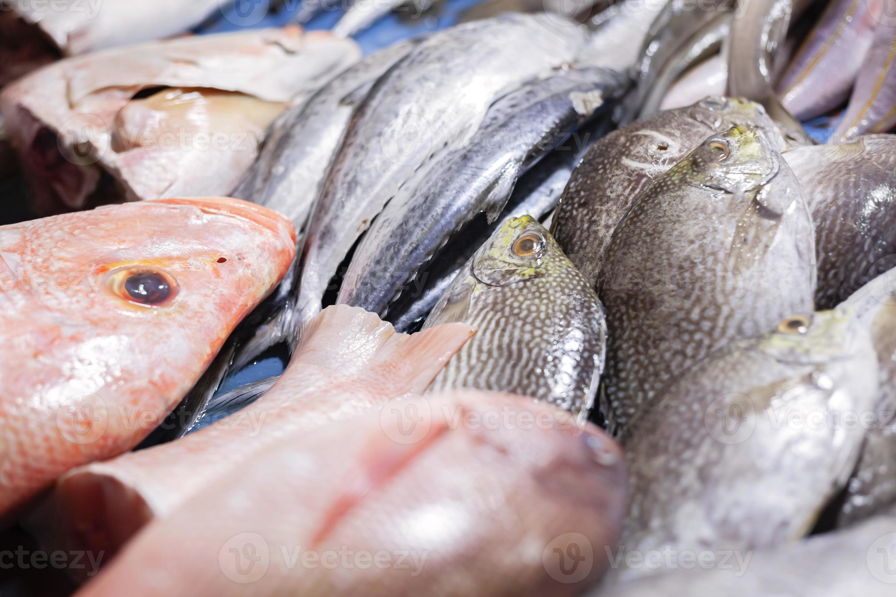 Sea fish ready to cook 13139058 Stock Photo at Vecteezy