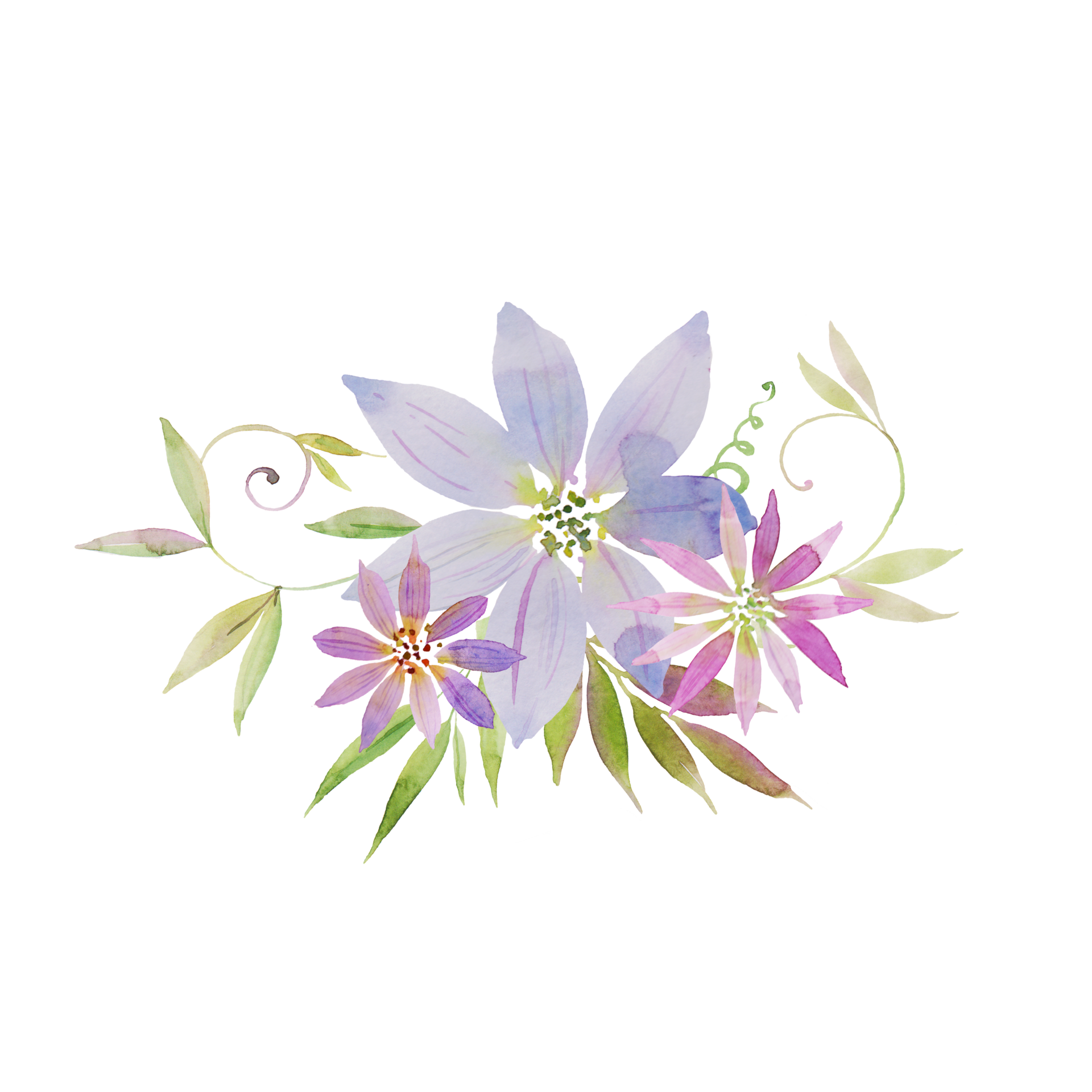 Free A Branch Of Beautiful Delicate Purple Flowers With Leaves Hand free-a-branch-of-beautiful-delicate-purple-flowers-with-leaves-hand