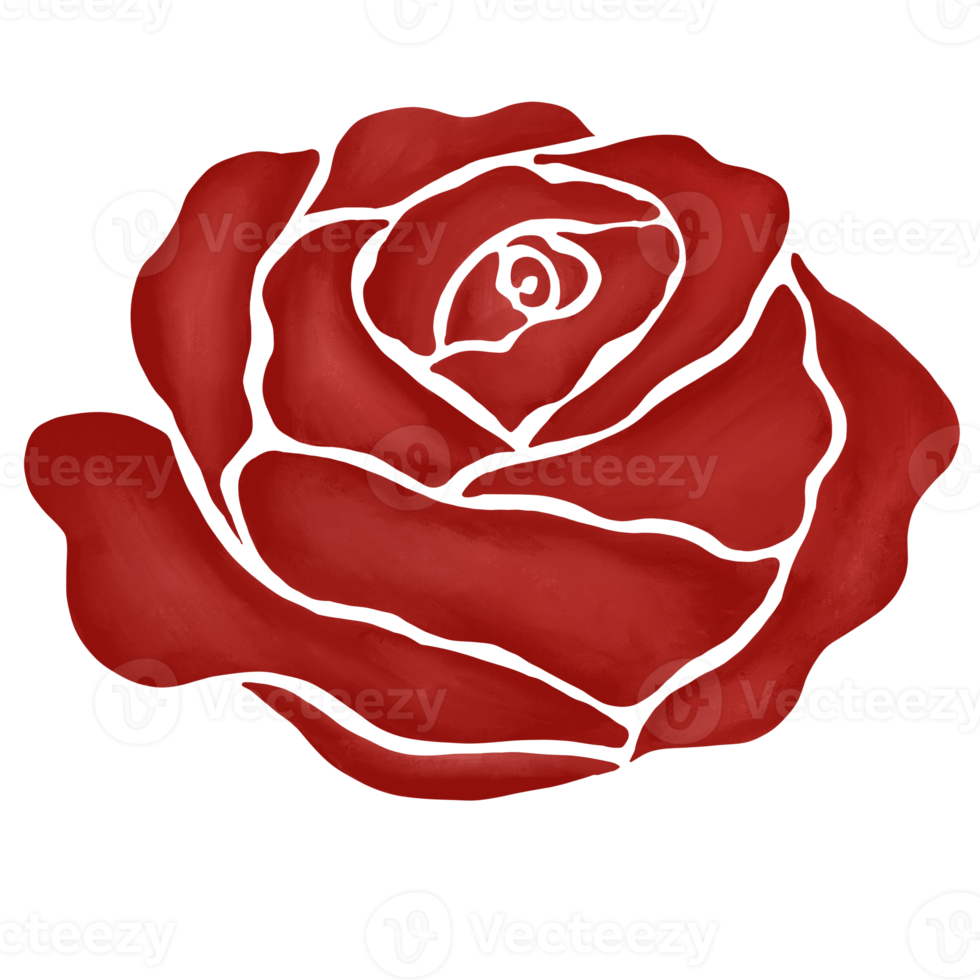 Red Rose Flower Drawing Illustration 13168235 Png