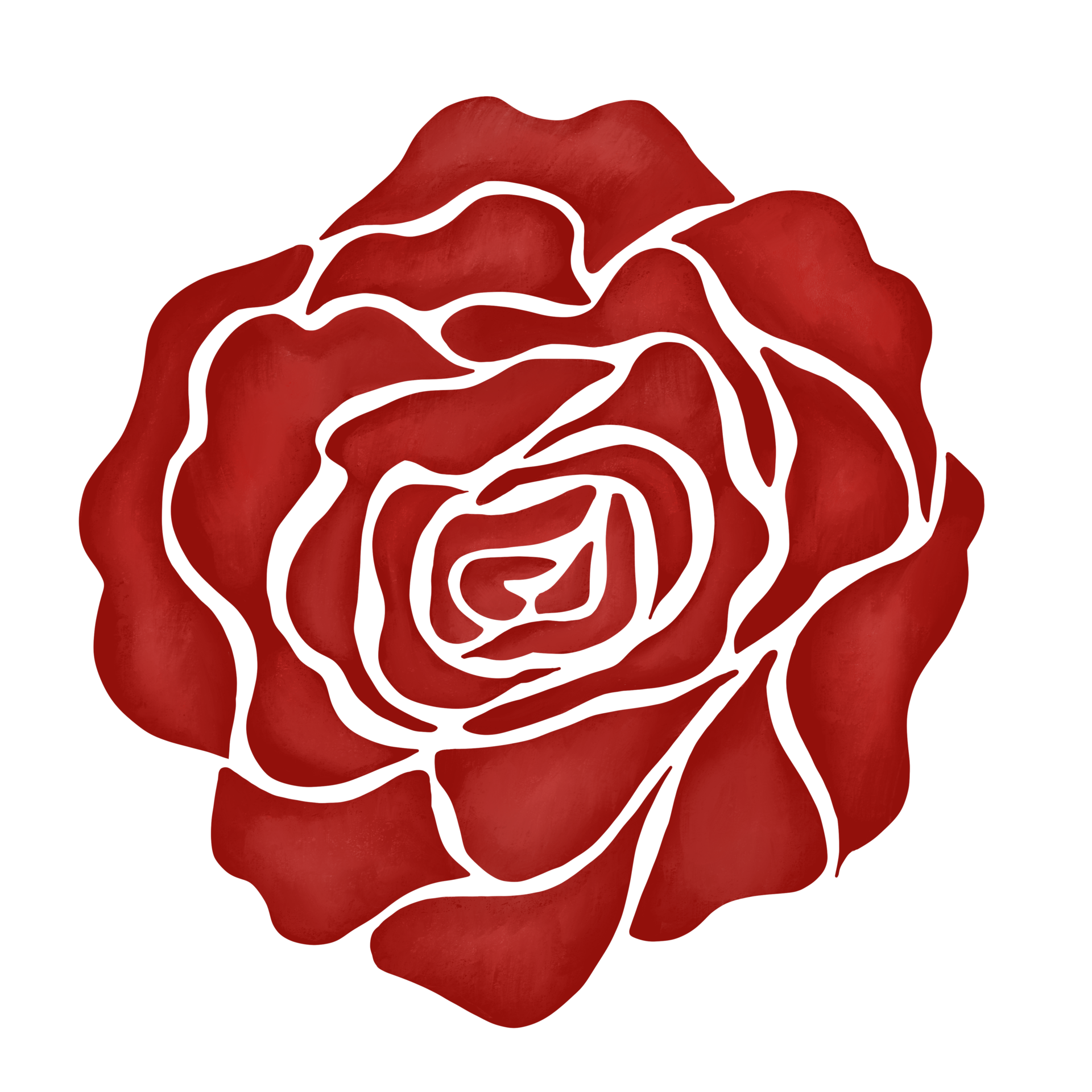 Red Rose Flower Drawing Illustration 13168242 Png