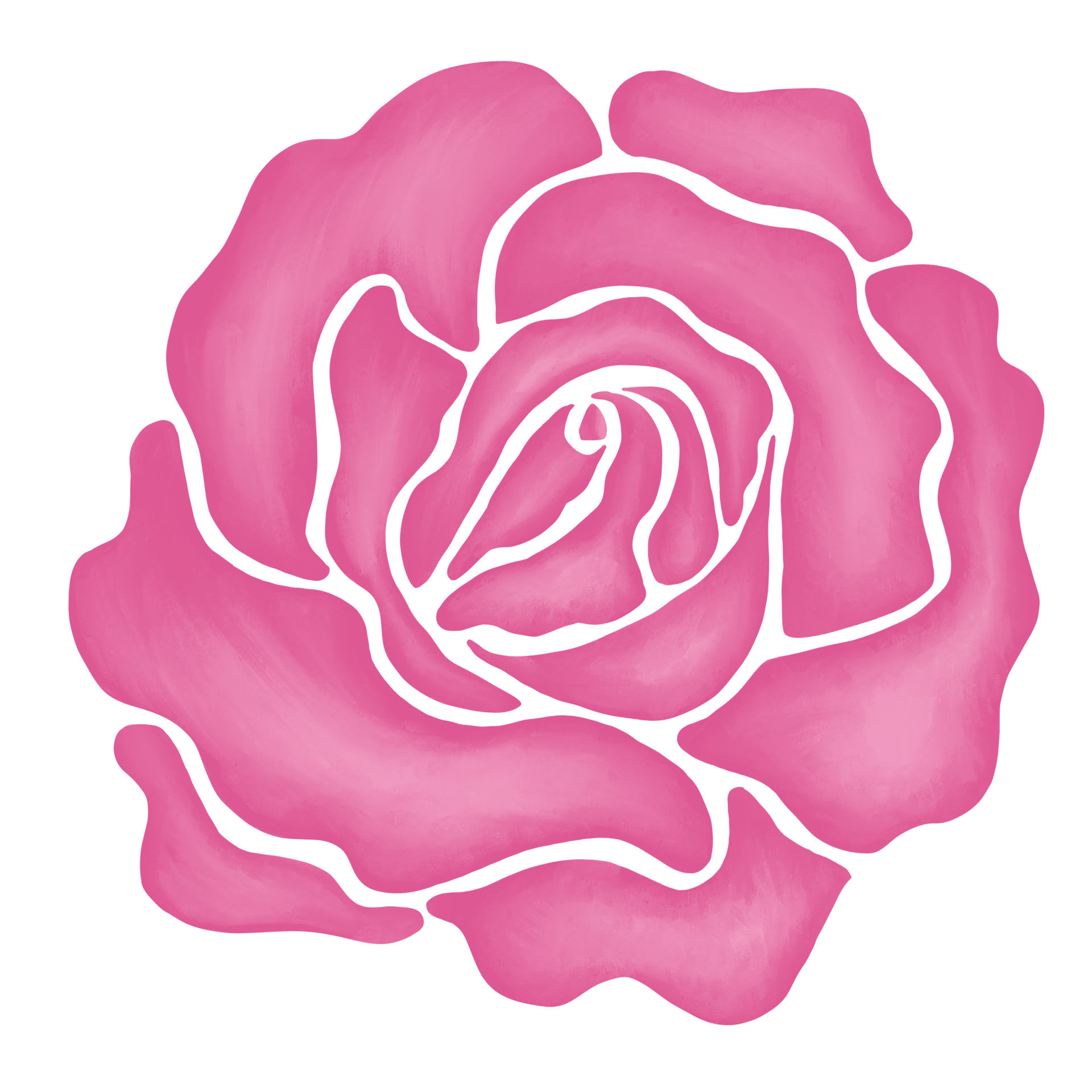 Pink Rose Flower Drawing Illustration 13168255 Png