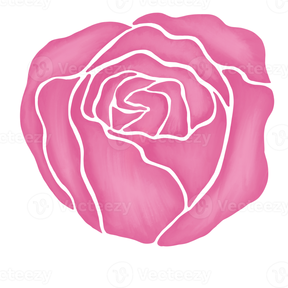 Pink Rose Flower Drawing Illustration 13168267 Png