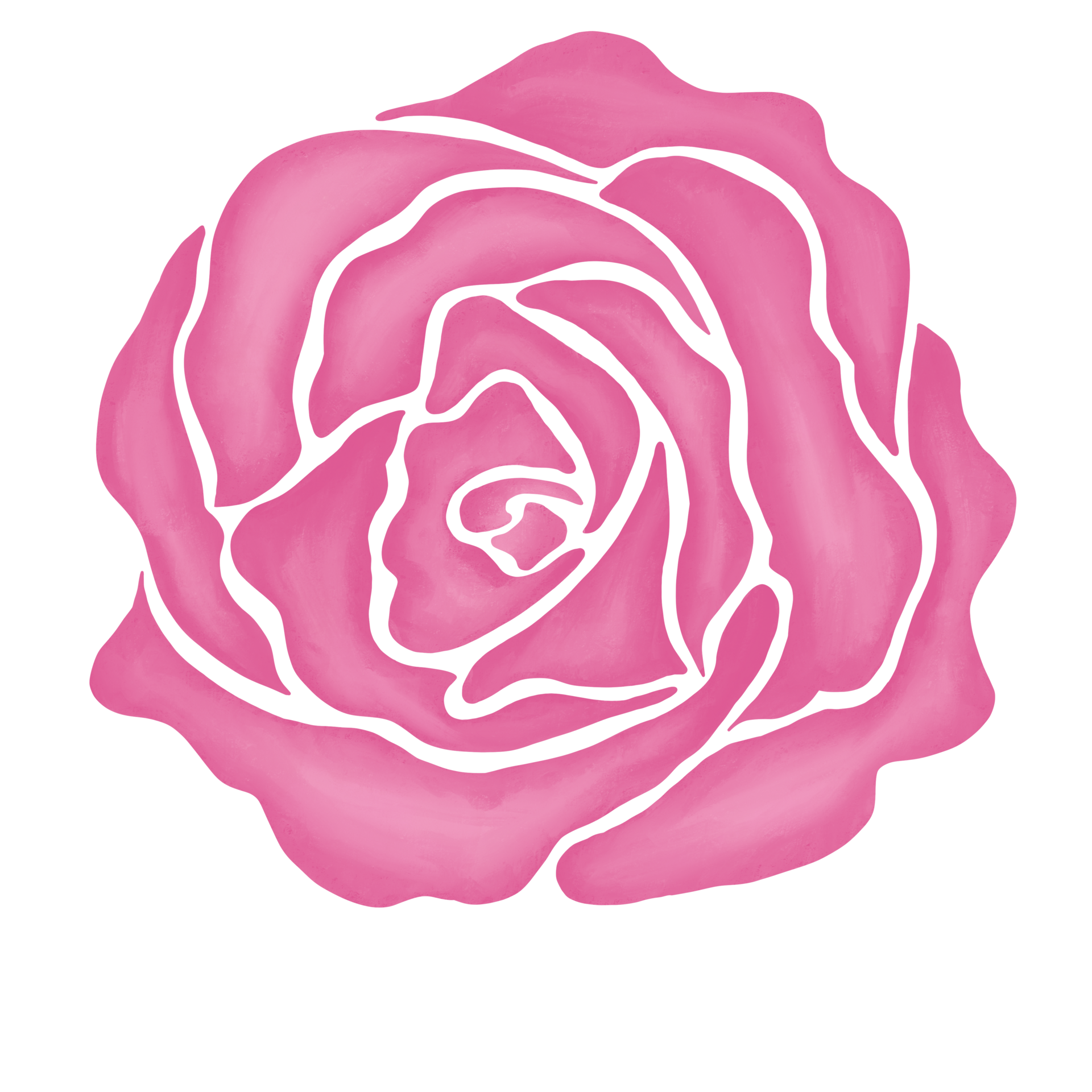 Free roze roos bloem tekening illustratie 13168373 PNG with Transparent ... Free roze roos bloem tekening illustratie 13168373 PNG with Transparent ...