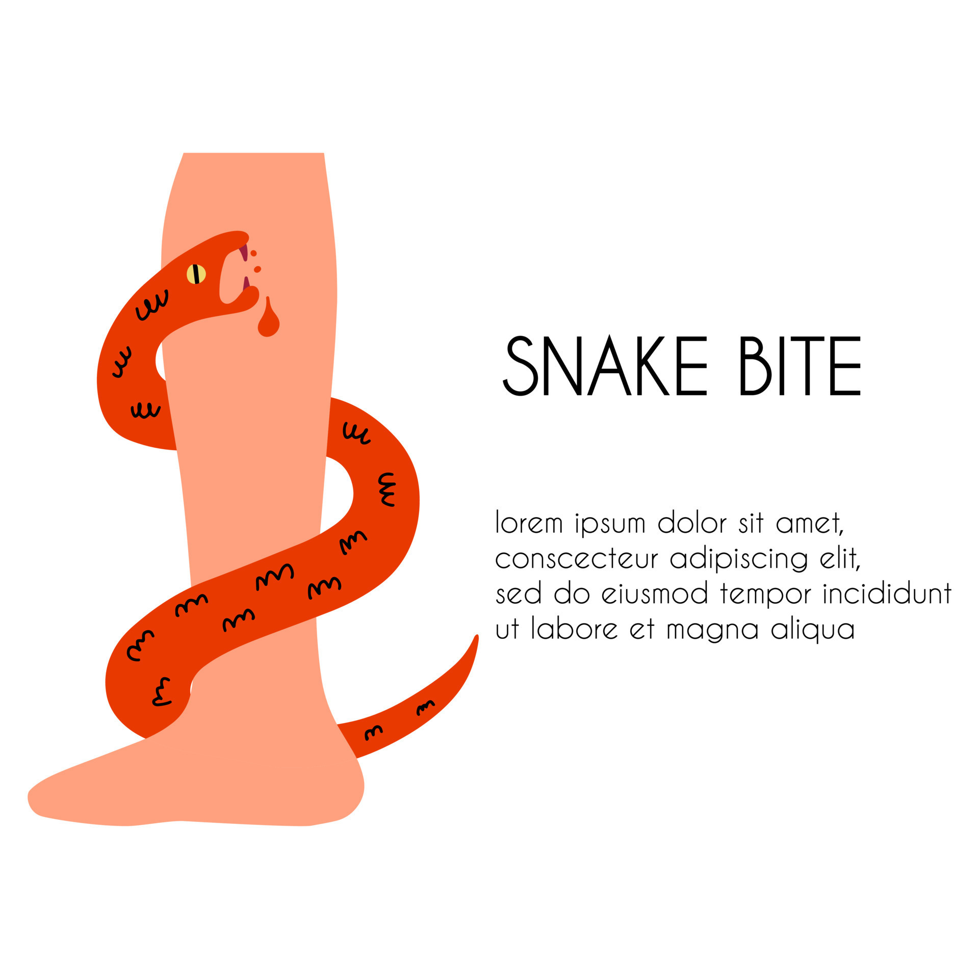 The snake bites the leg. Medical template with text about poisonous ...