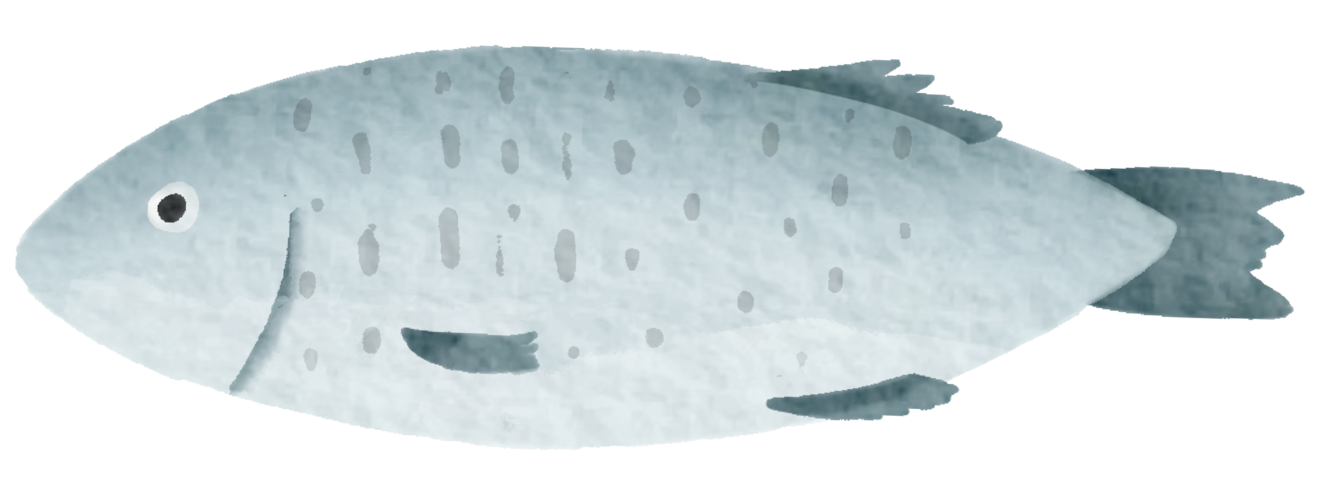 Nautical watercolor marine life hand painted 13181145 PNG