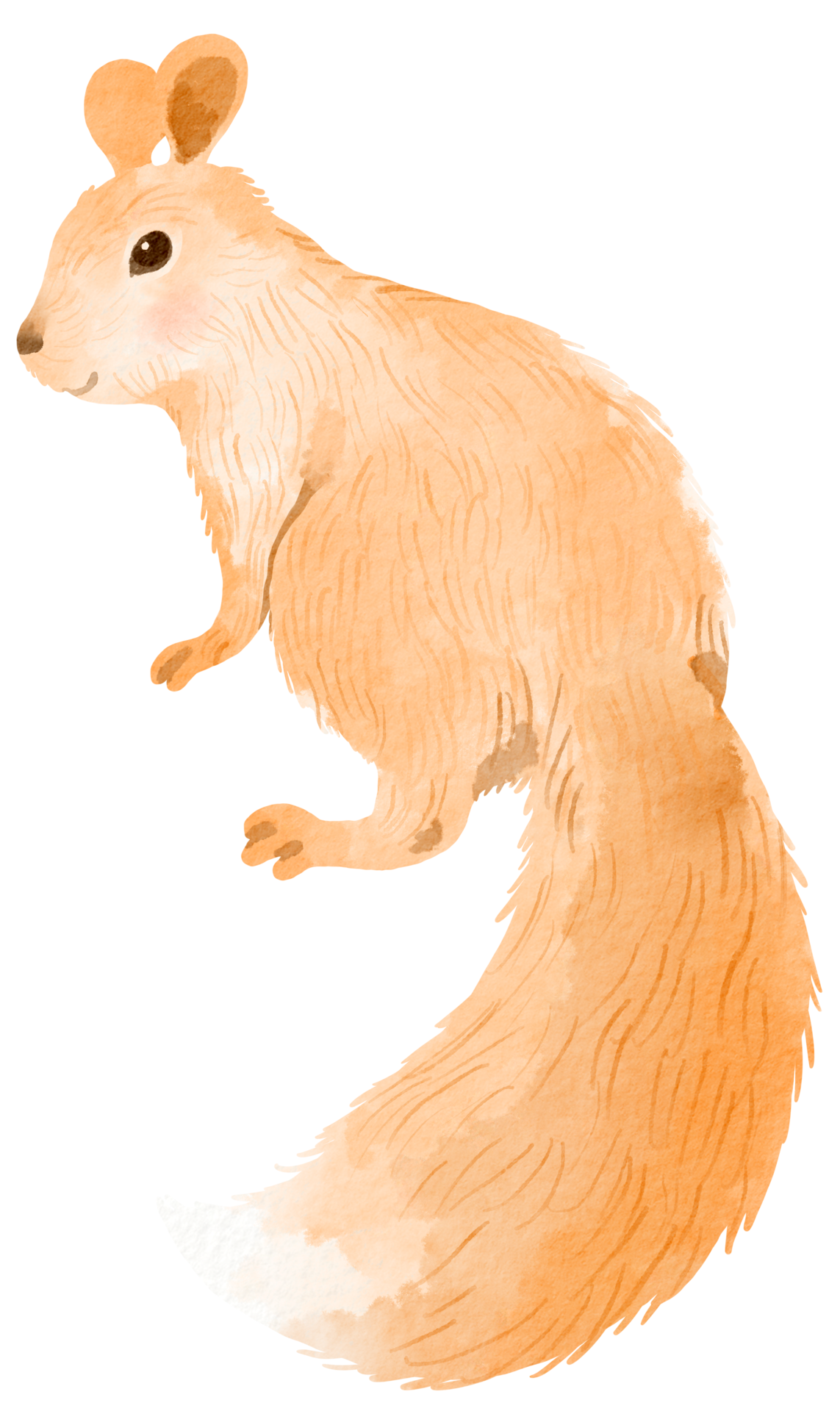 bosque adorable animal acuarela 13181842 PNG bosque adorable animal acuarela 13181842 PNG