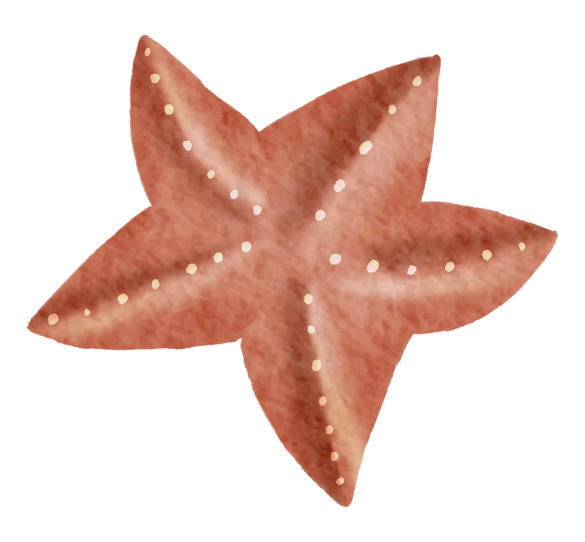 Nautical watercolor marine life hand painted 13183061 PNG