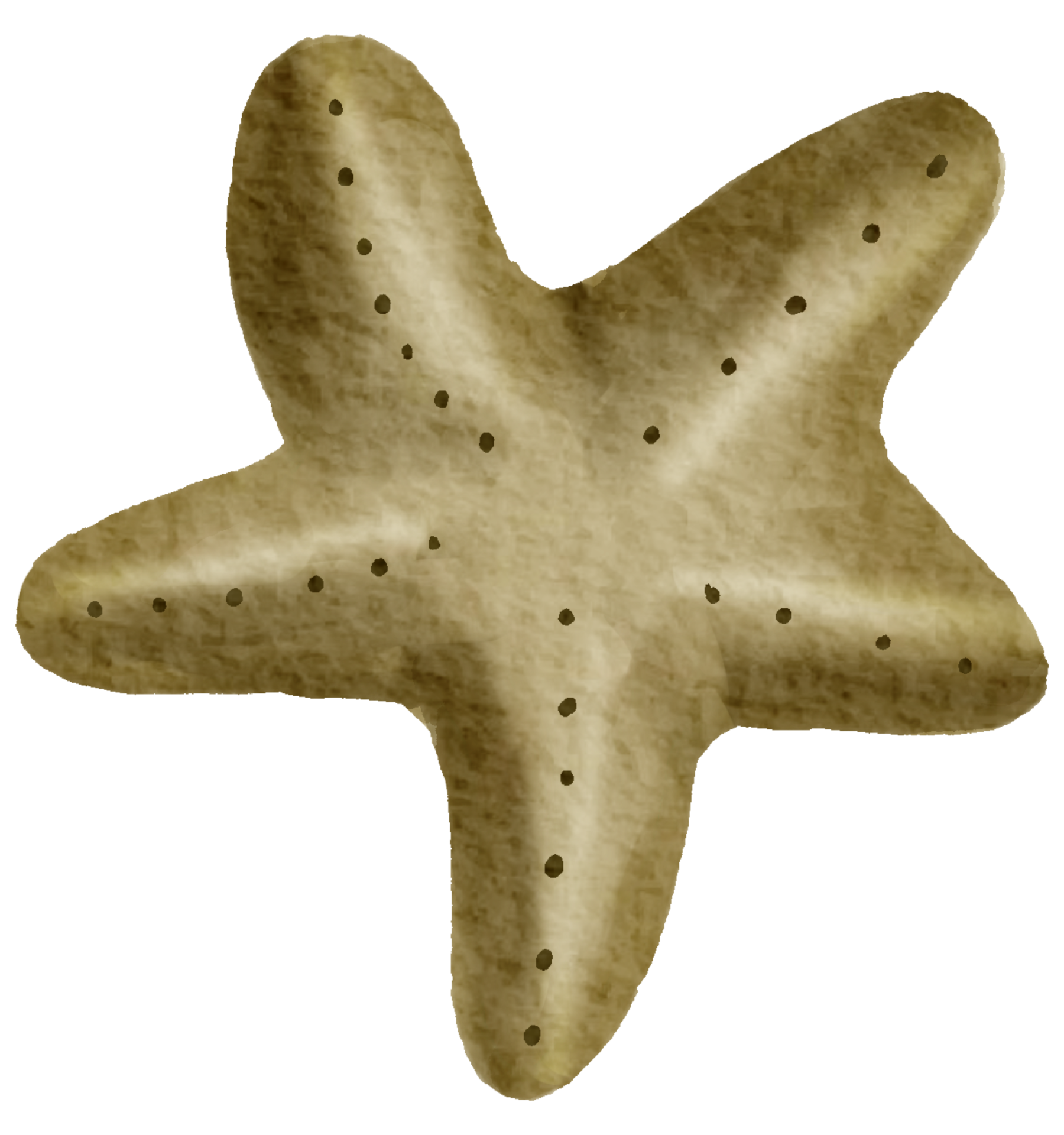 Nautical watercolor marine life hand painted 13184066 PNG