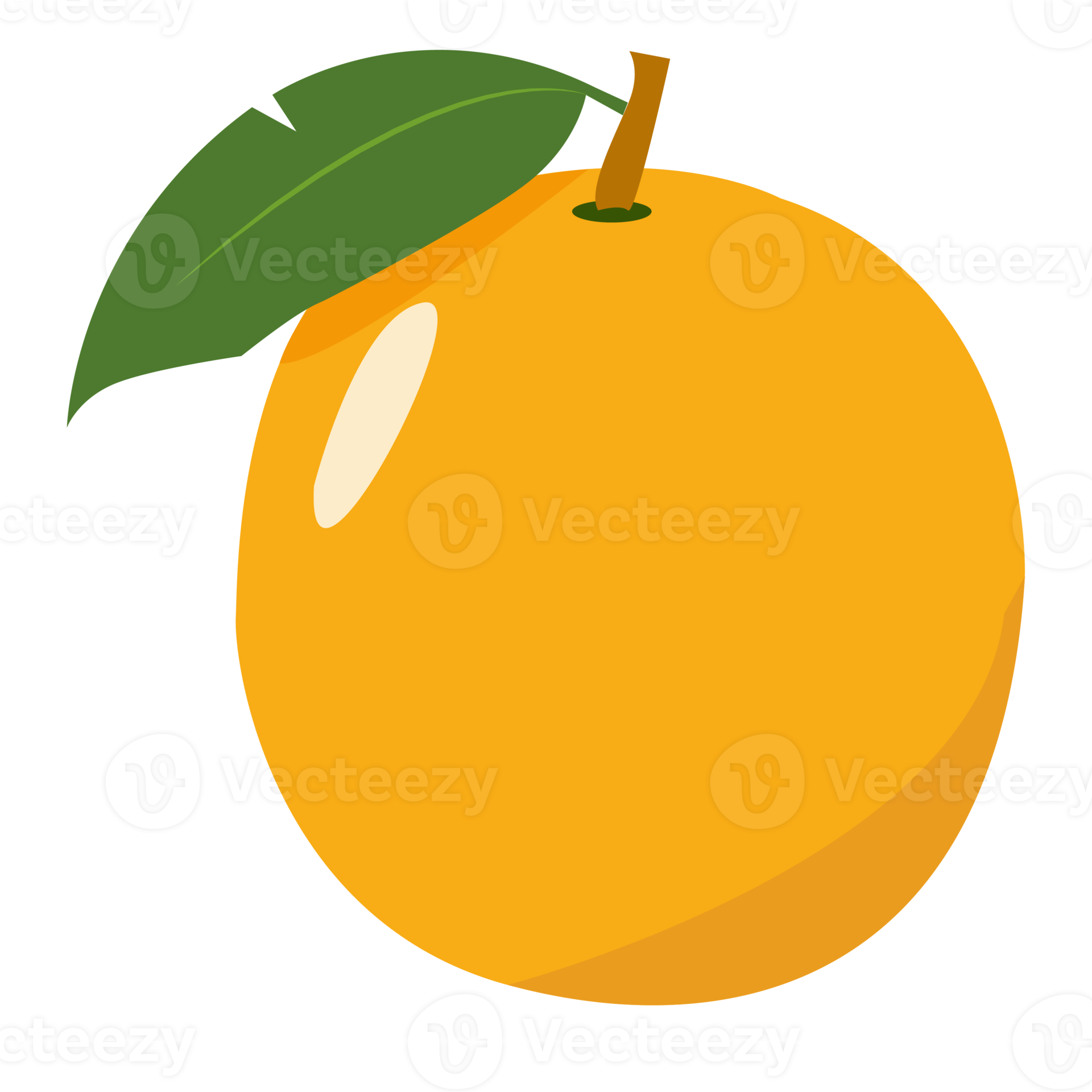 Orange PNG Transparent 13210401 PNG Orange PNG Transparent 13210401 PNG