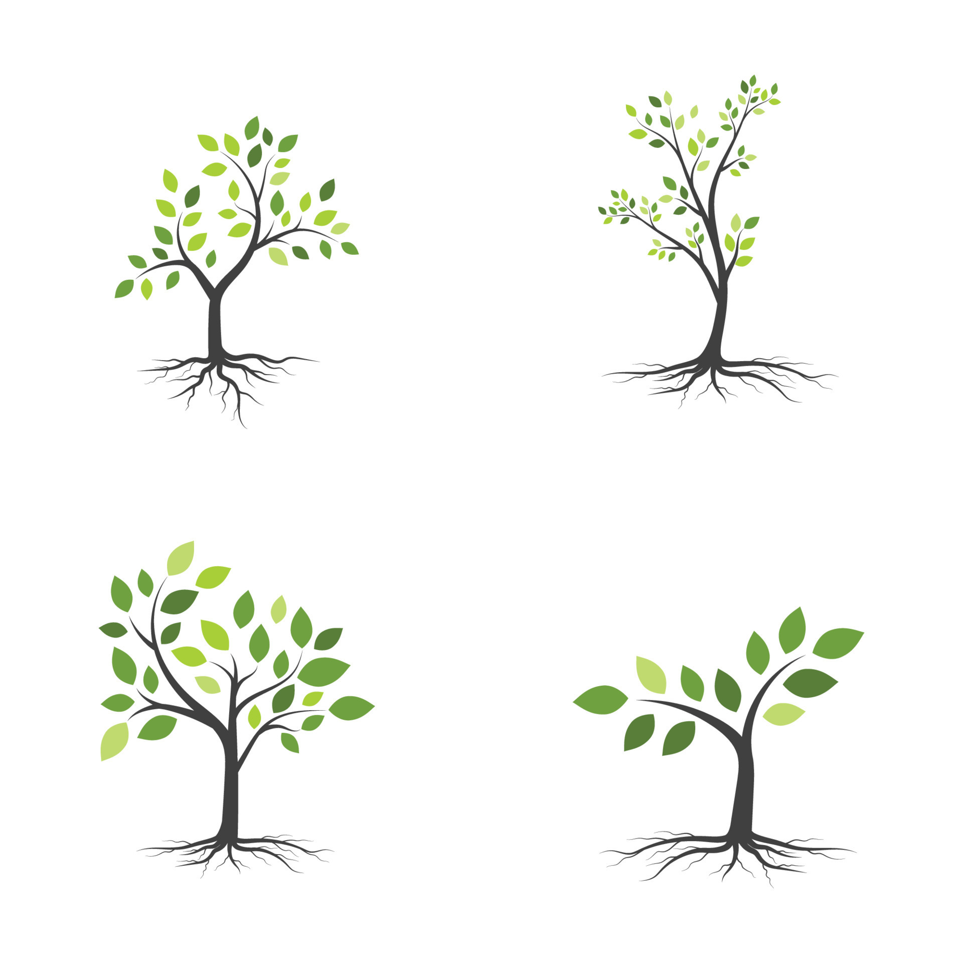 Tree branch vector ilustration design 13213275 Vector Art at Vecteezy