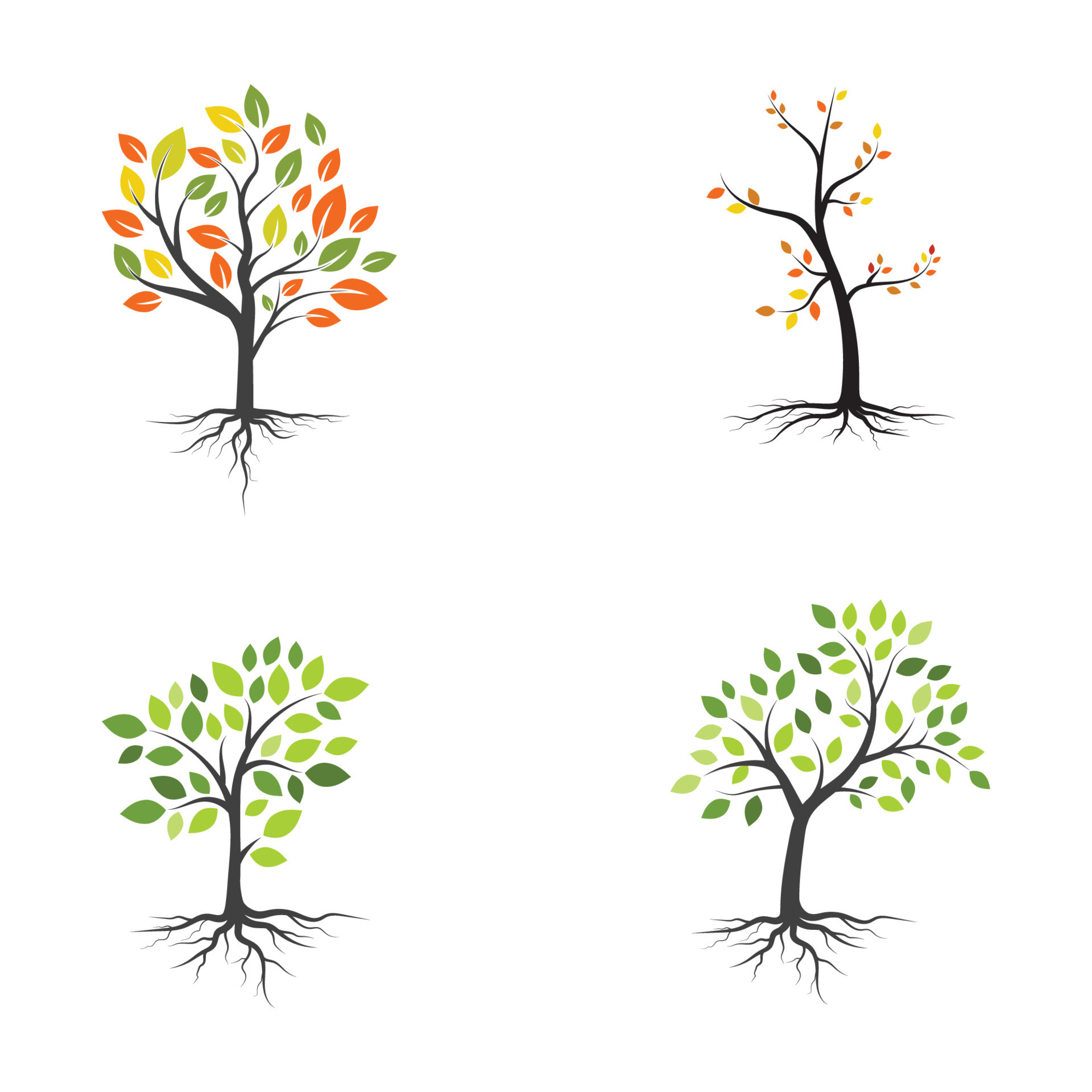 Tree branch vector ilustration design 13213322 Vector Art at Vecteezy
