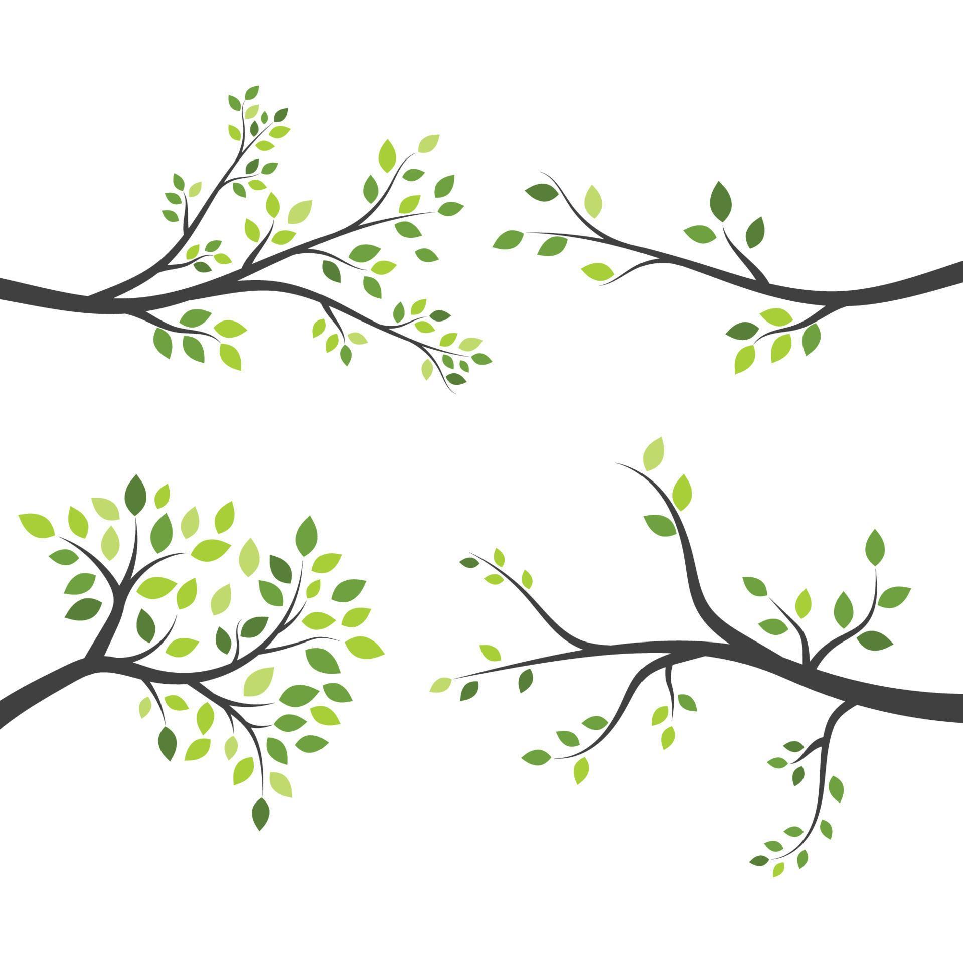 Tree branch vector ilustration design 13213328 Vector Art at Vecteezy