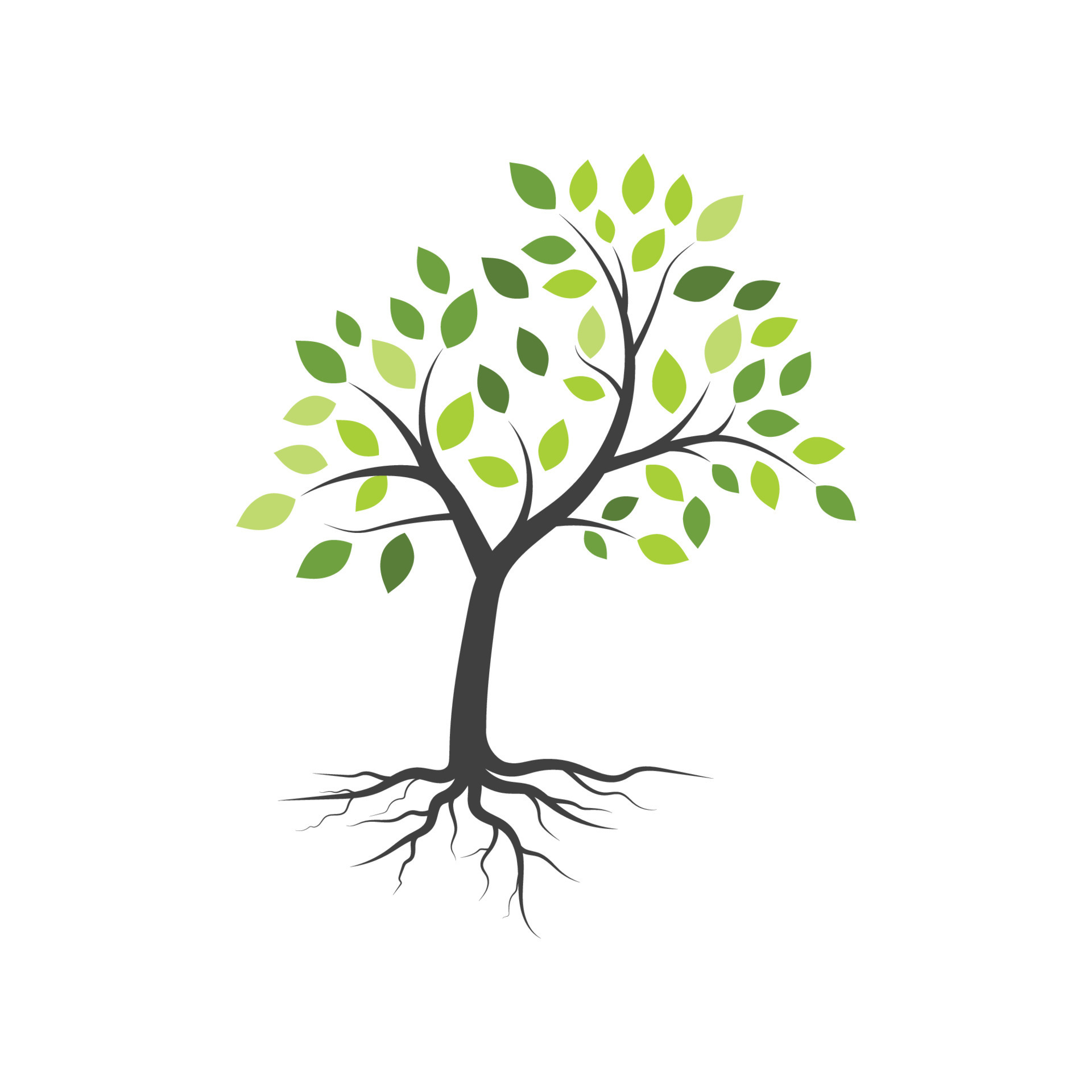 Tree branch vector ilustration design 13213379 Vector Art at Vecteezy