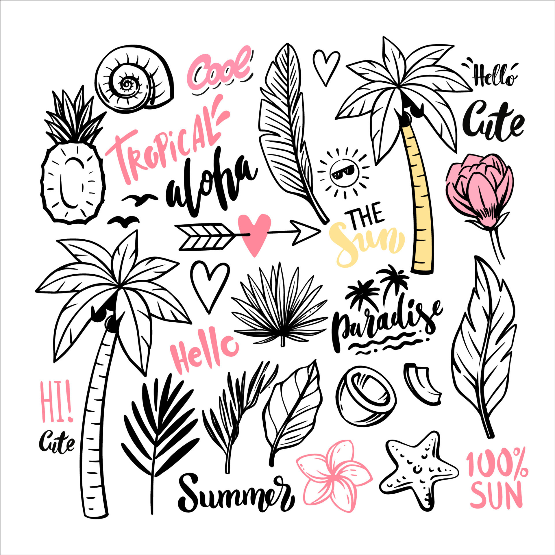 Tropical leaves and palm summer doodle. 13215804 Vector Art at Vecteezy