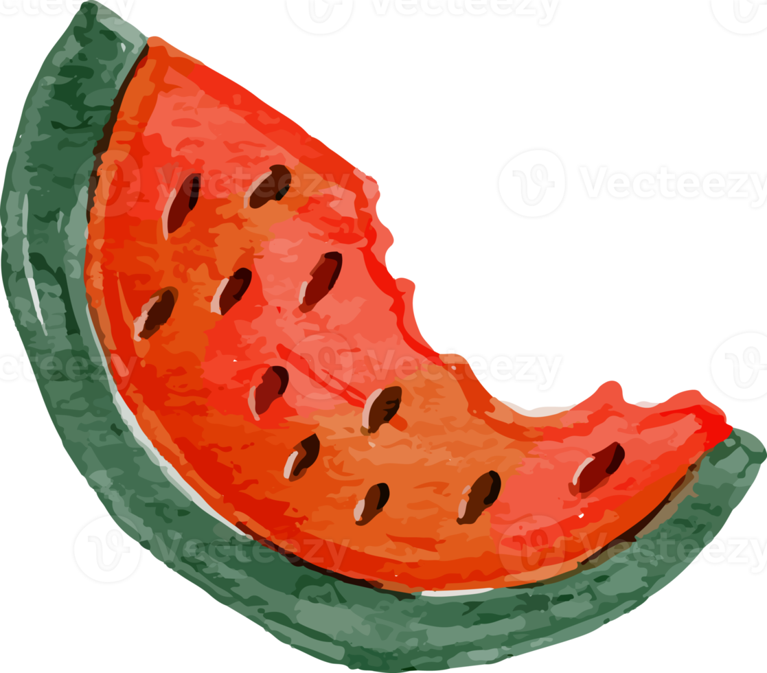 Watermelon Watercolor Illustration Clip Art 13217646 Png