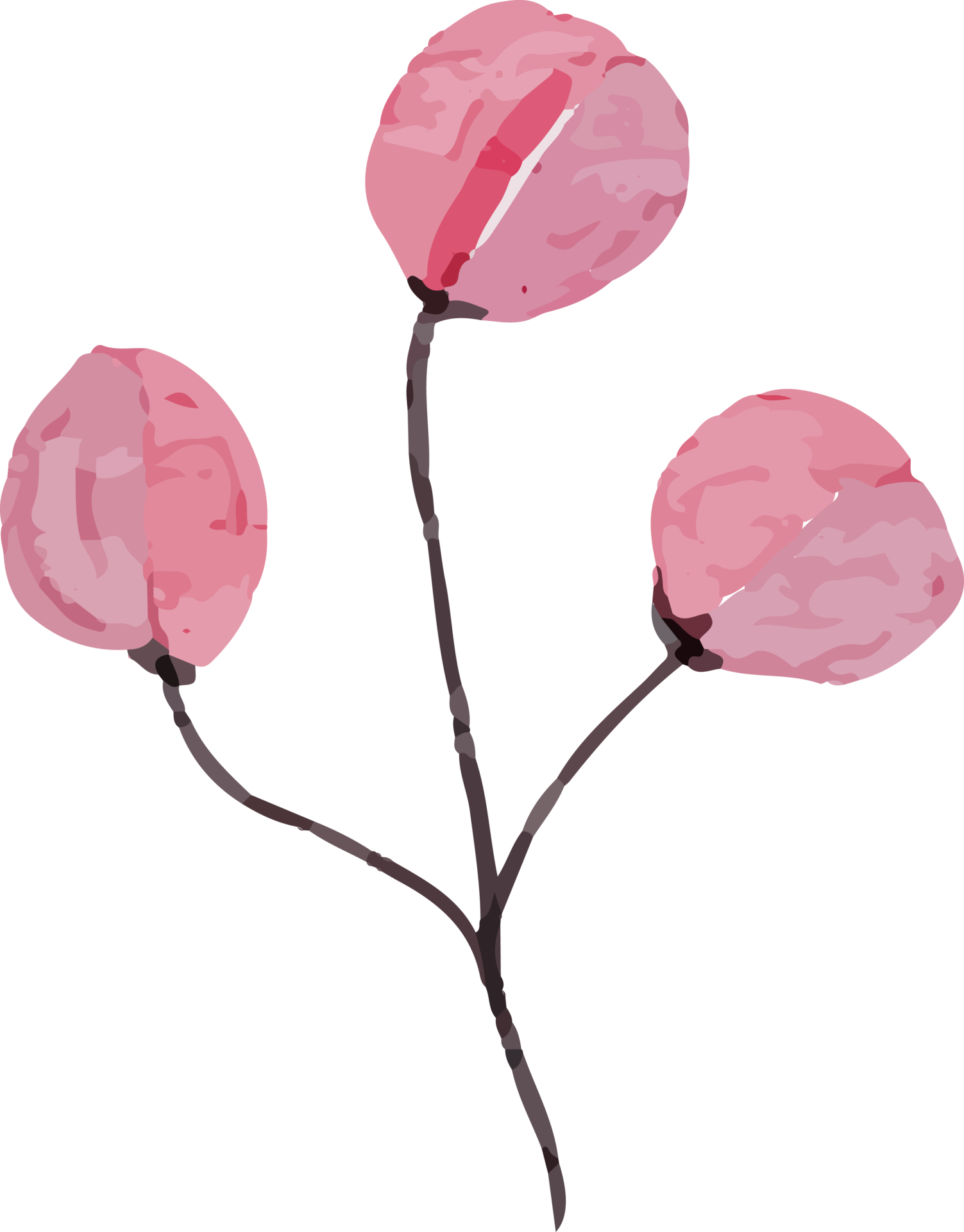 Pink Leaf Watercolor Clip Art 13217692 Png