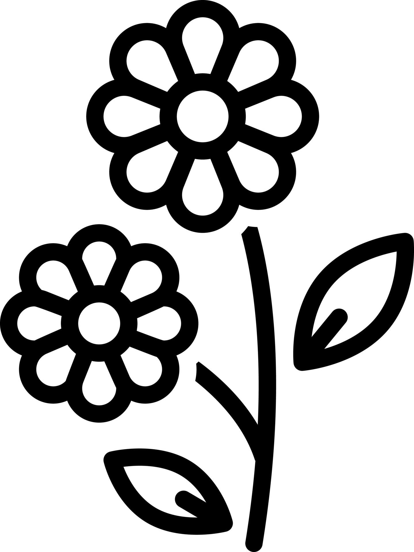 line icon for flower 13224932 Vector Art at Vecteezy