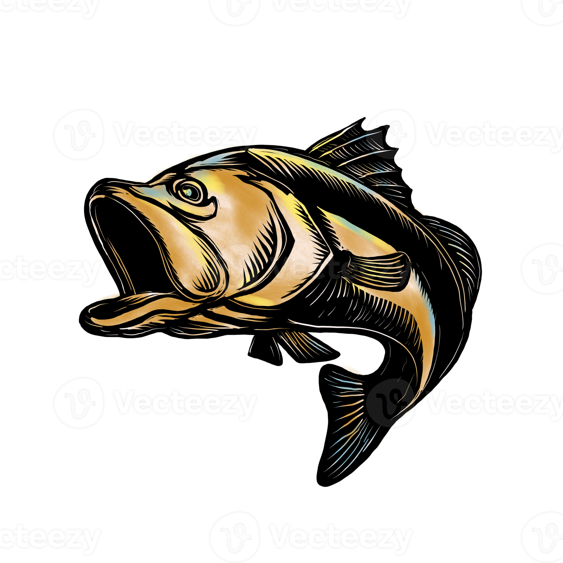 Largemouth Bass Scratchboard 13251866 Png