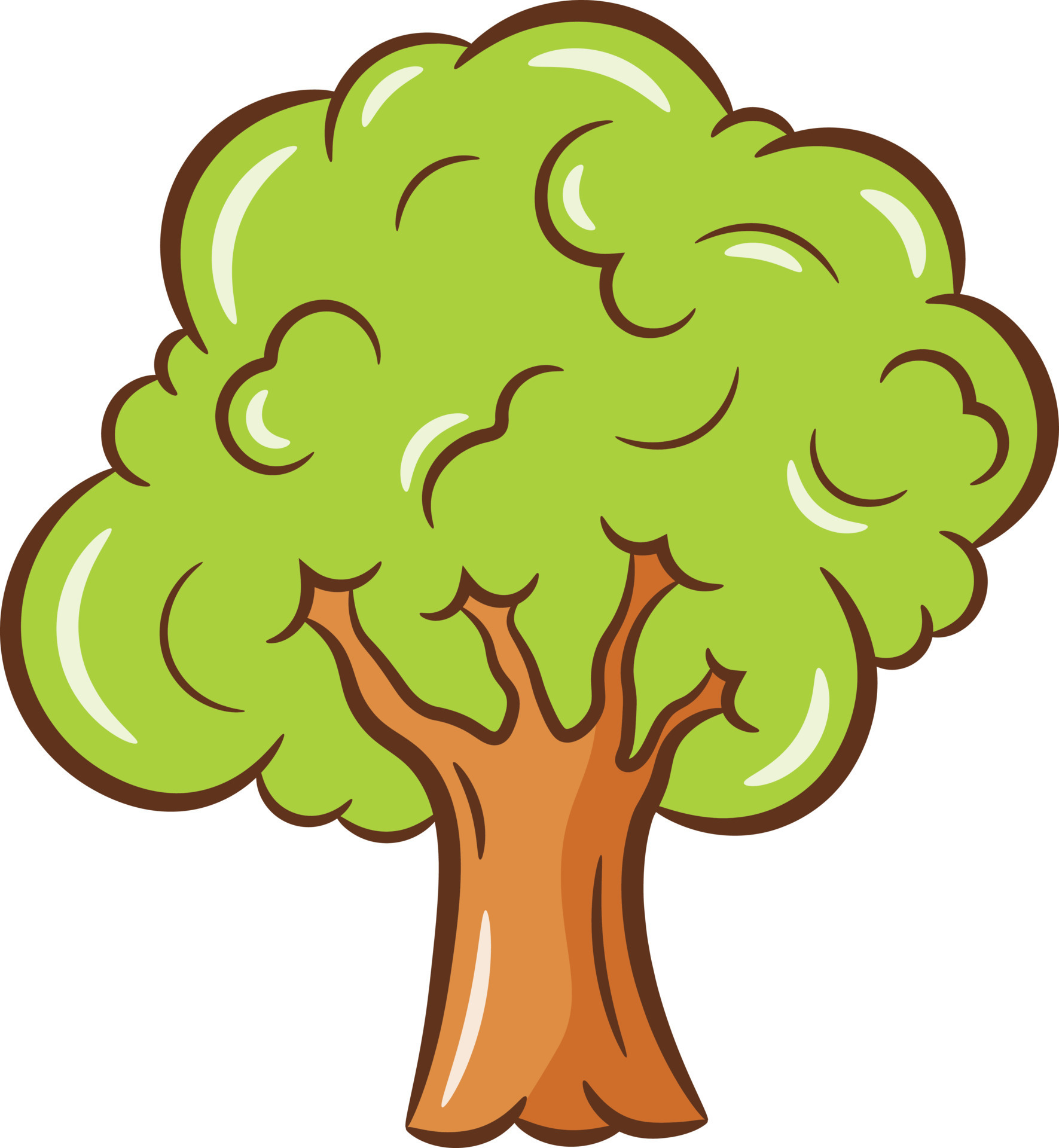Lindo Dibujo De Arbol Para Flashcard Escolar 13272625 Vector En Vecteezy