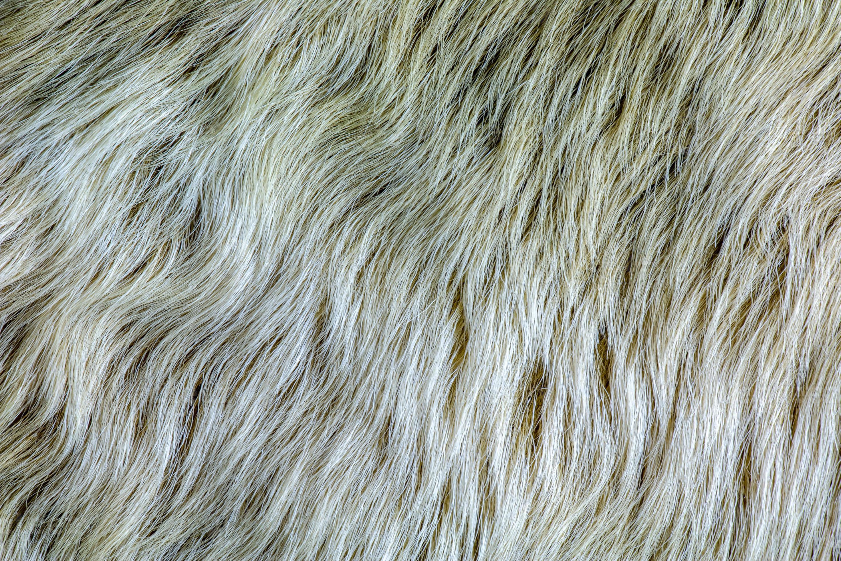 Fox Fur Textures Fox Shaggy Fur Texture Abstract Fabric Fluffy Rusty Texture Smooth Surface