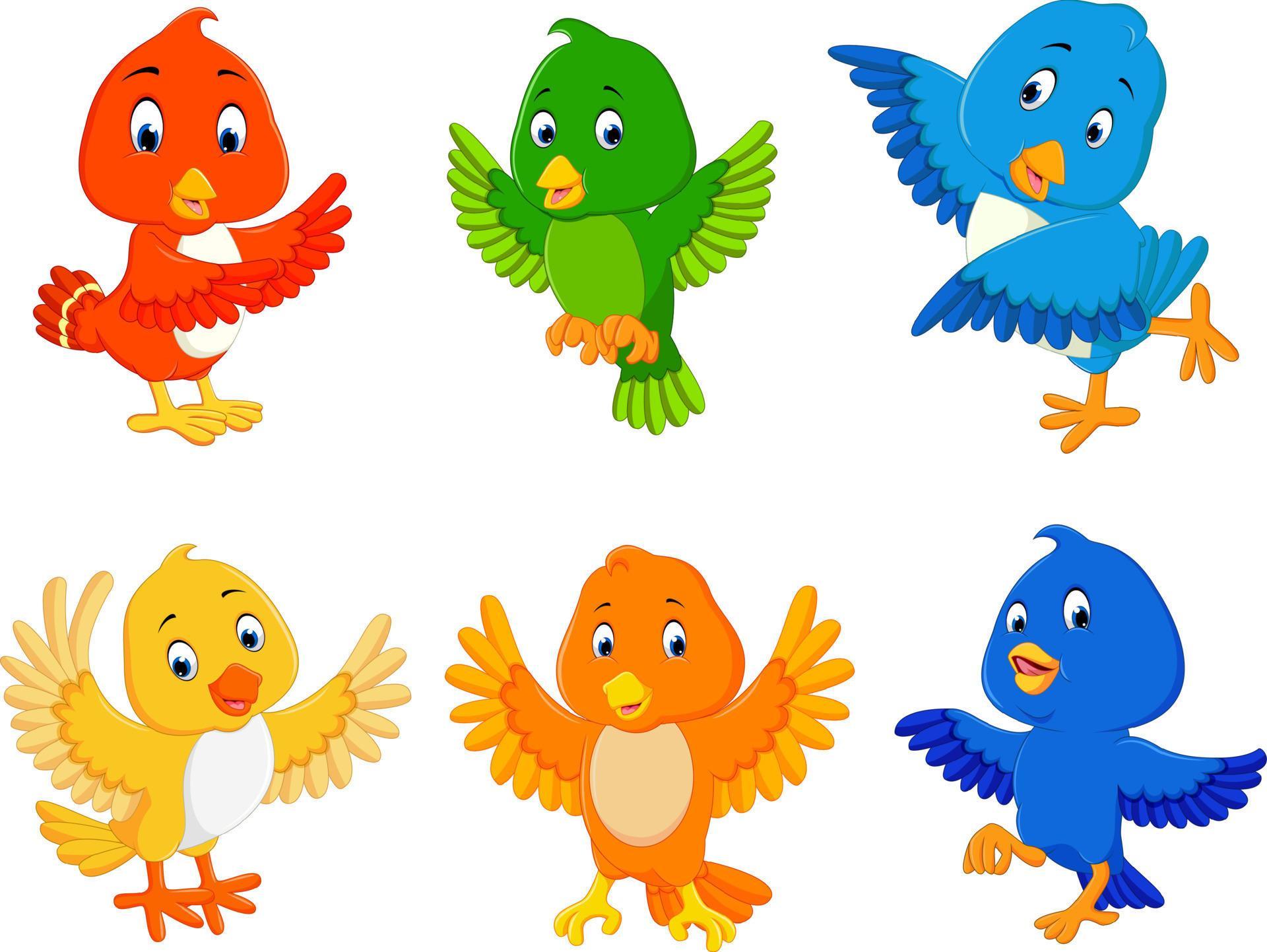 the collection birds with the different color and posing 13330433 ...