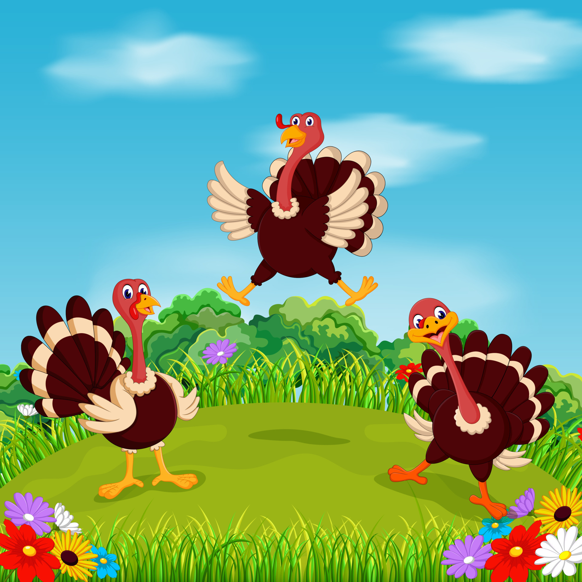 the dashing turkey bird playing and flying in the garden with the ...