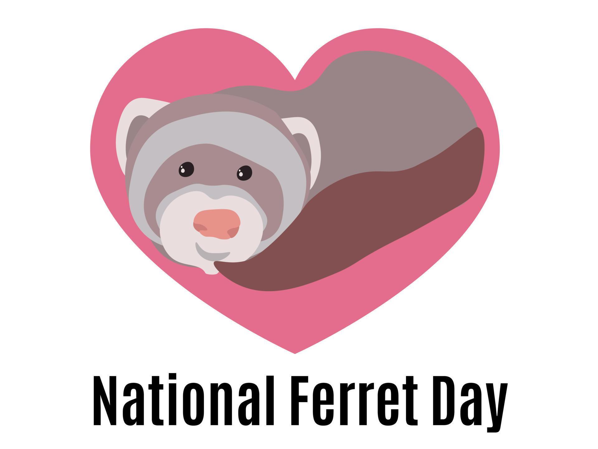 National Ferret Day, idea for poster, banner, flyer or postcard ...