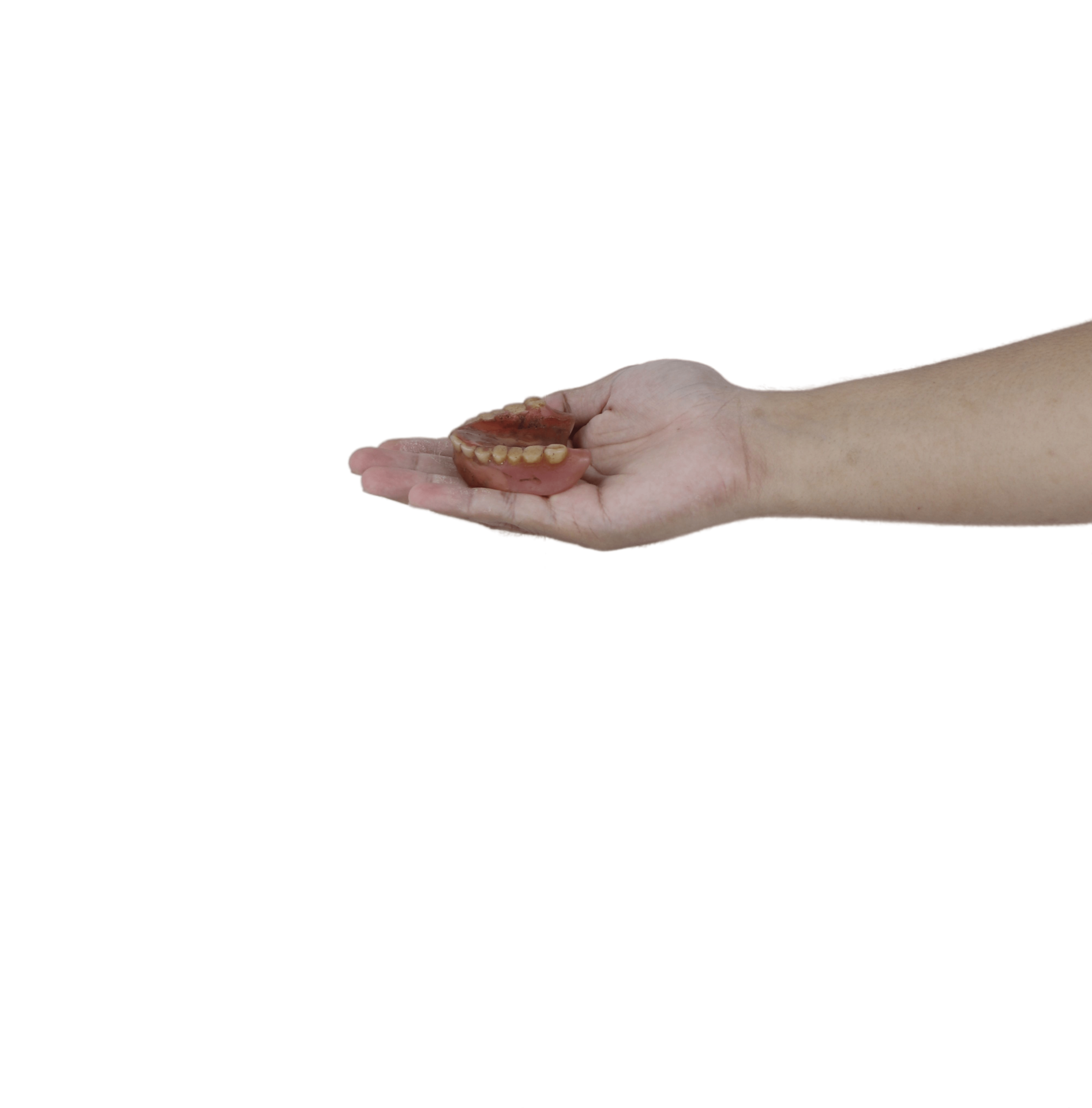 hands holding dirty dentures 13366384 PNG hands holding dirty dentures 13366384 PNG