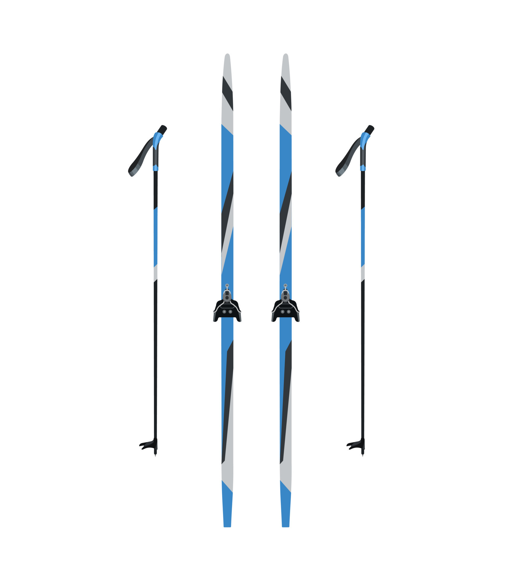 Skis with sticks for winter sport. Skiing. Vector illustration isolated ...