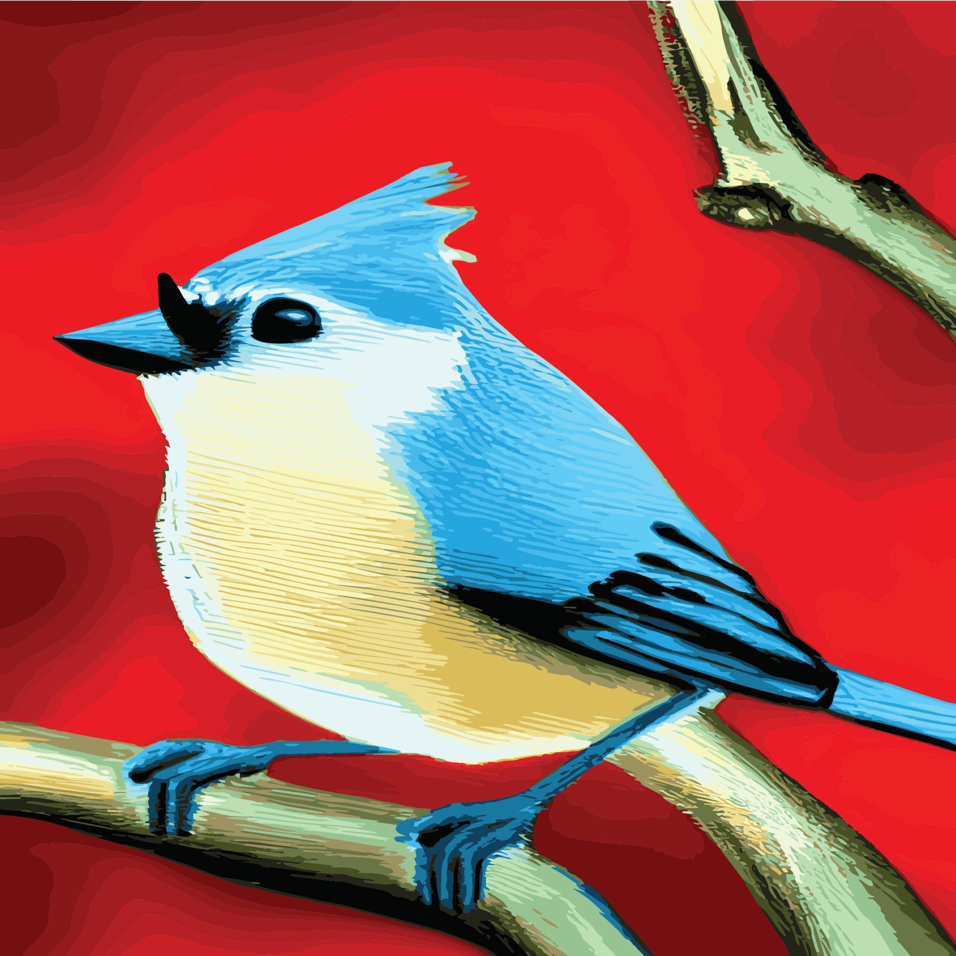 Vector realistic detailed vector illustration winter birds branches ...