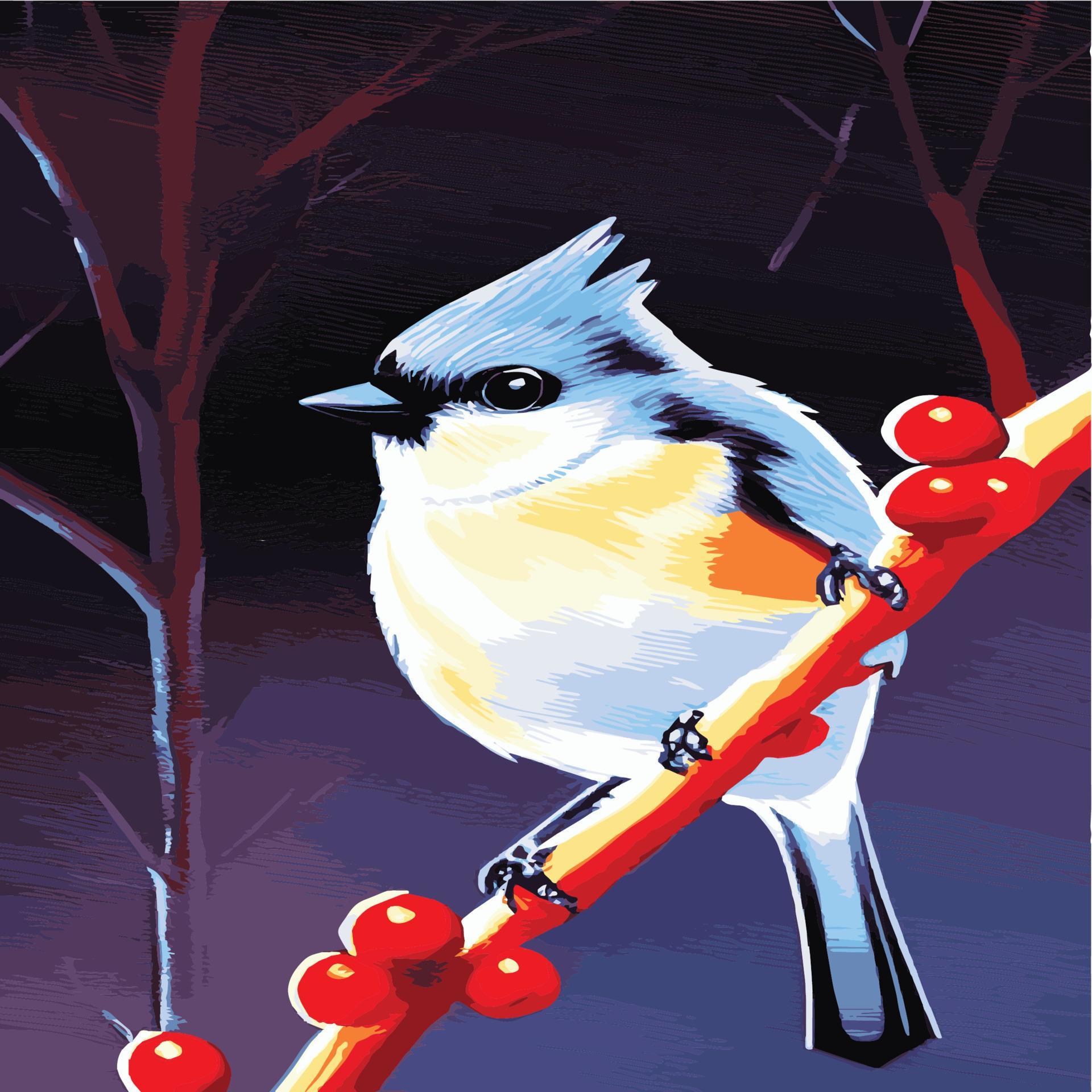 Vector realistic detailed vector illustration winter birds branches ...