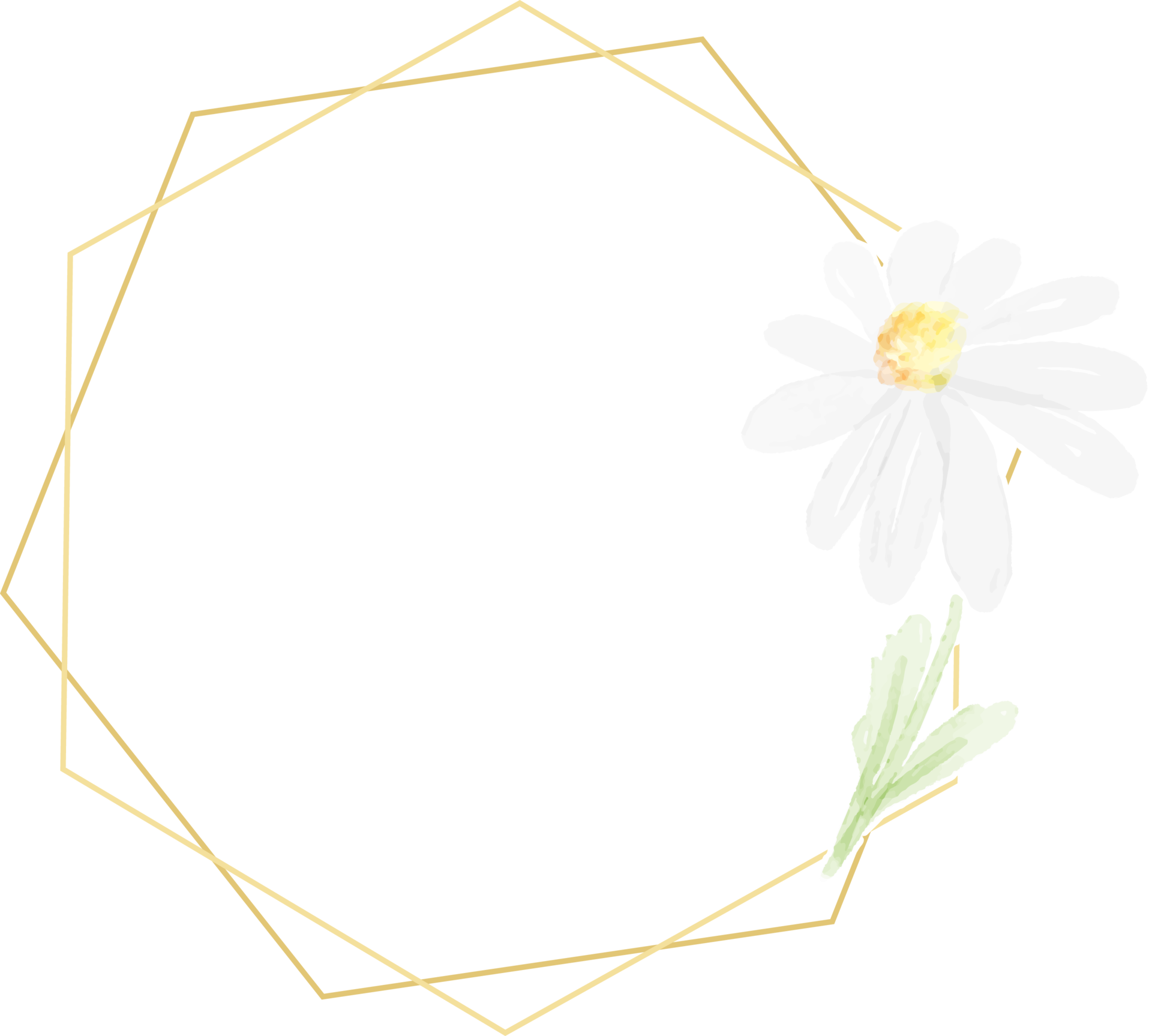 Watercolor White Daisy Golden Frame 13390819 Png