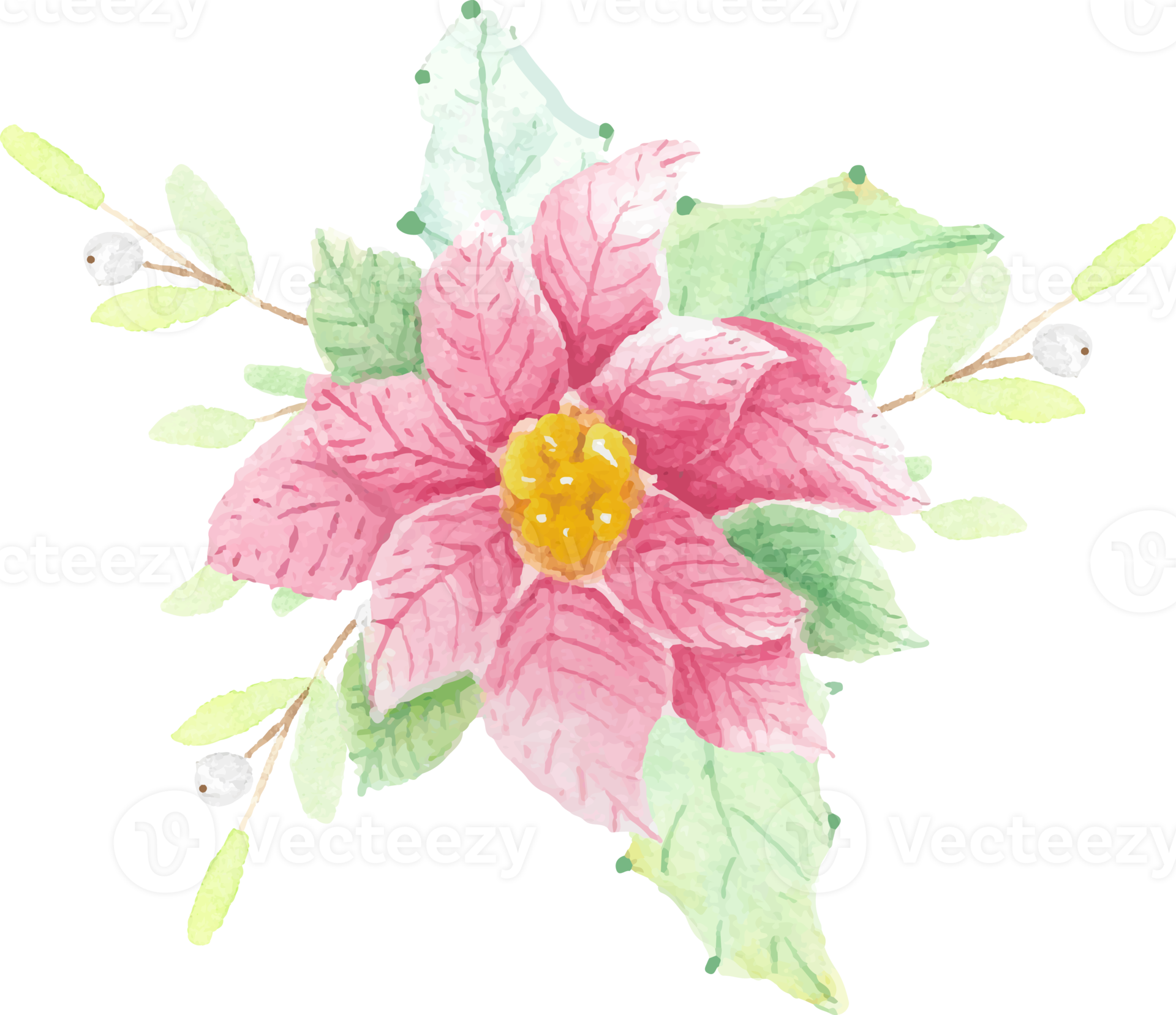 Free Watercolor Christmas Poinsettia Flower Bouquet 13390911 Png With