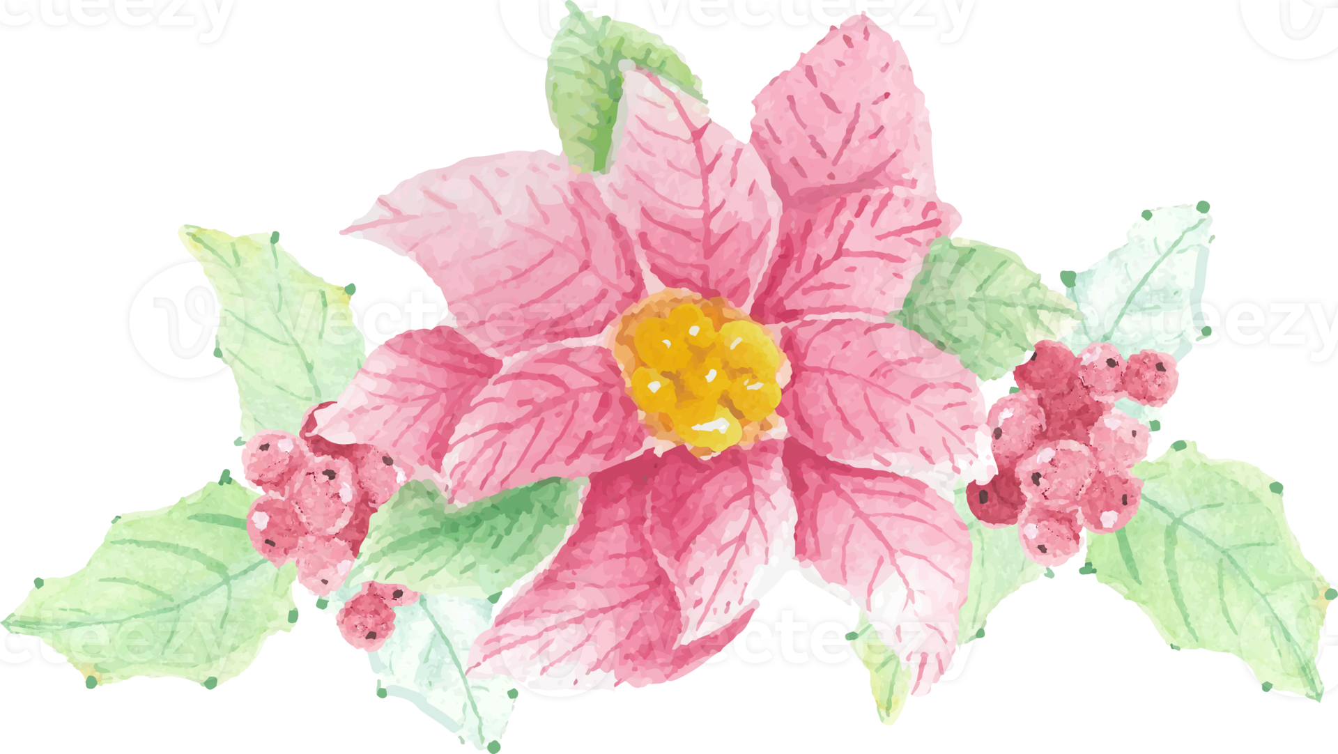 Watercolor Christmas Poinsettia Flower Bouquet 13390919 Png