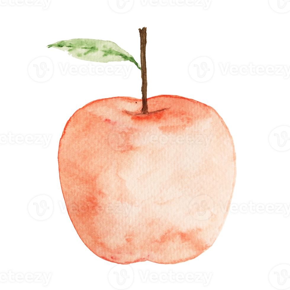 Watercolor cute red apple 13392262 PNG