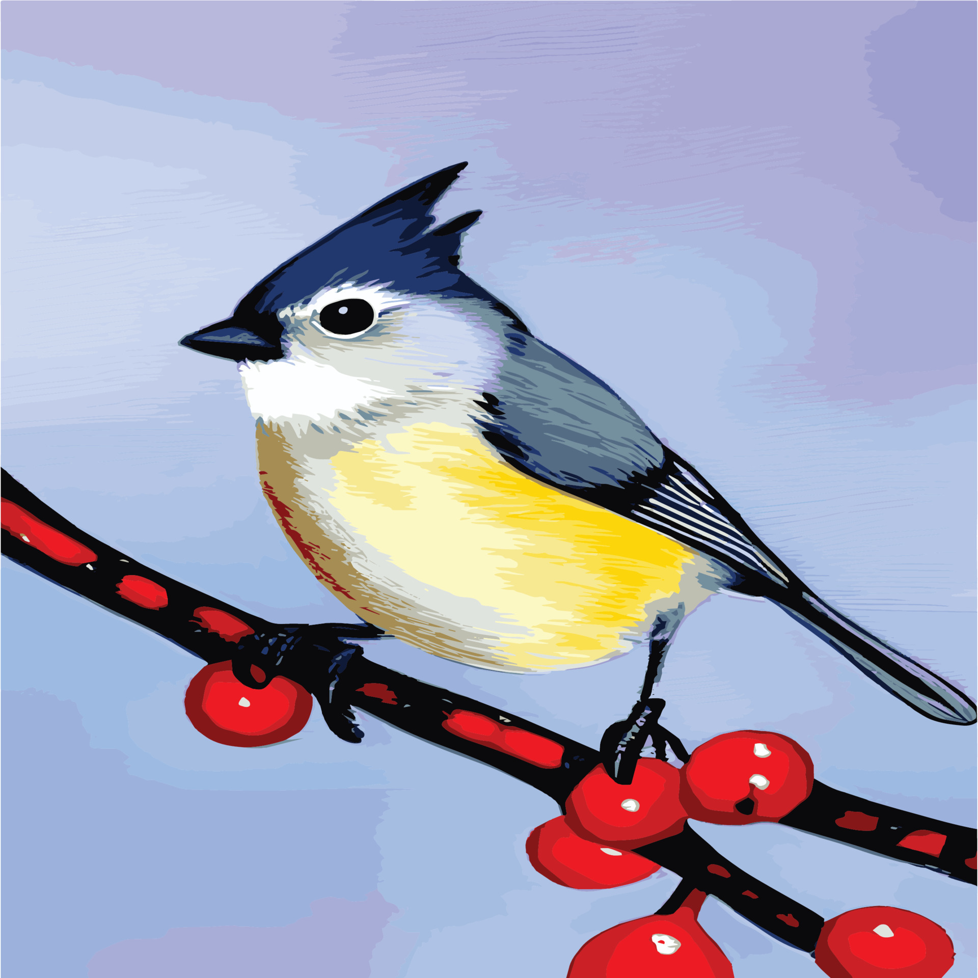 Vector realistic detailed vector illustration winter birds branches ...