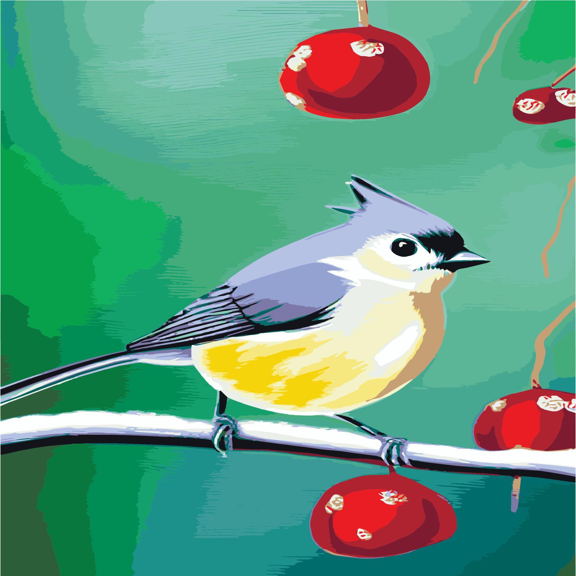 Vector realistic detailed vector illustration winter birds branches ...